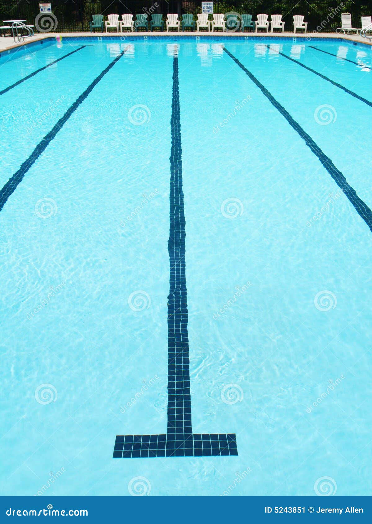 Olympic-sized Swimming Pool With Starting Blocks With Yellow Touch ...