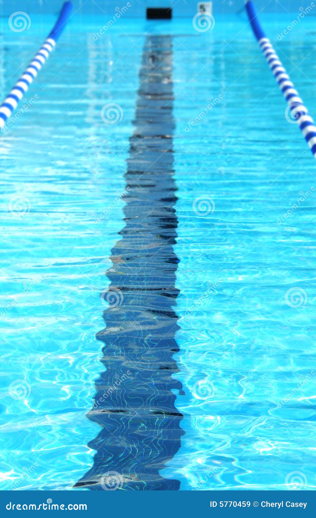 Swimming Lane stock image. Image of reflection, lane, empty - 5770459