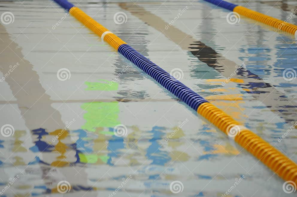Swimming lanes stock photo. Image of team, color, olympic - 11169464