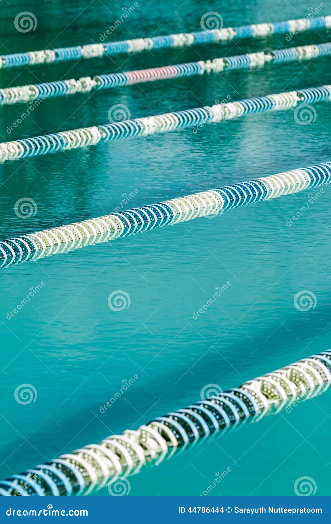 Swimming line stock photo. Image of leisure, freestyle - 44706444
