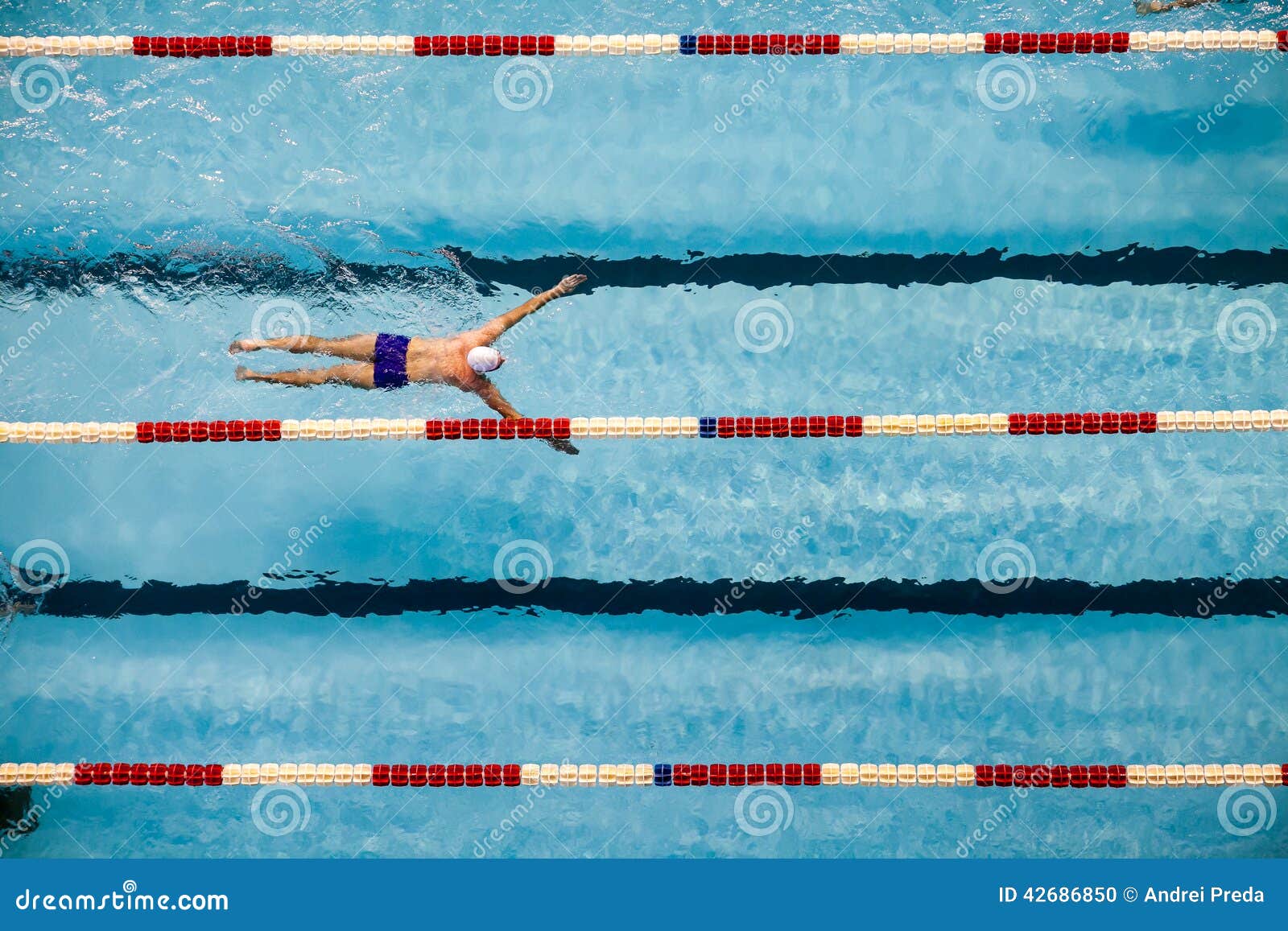 Swimming stock photo. Image of sink, immerse, lifestyles - 42686850