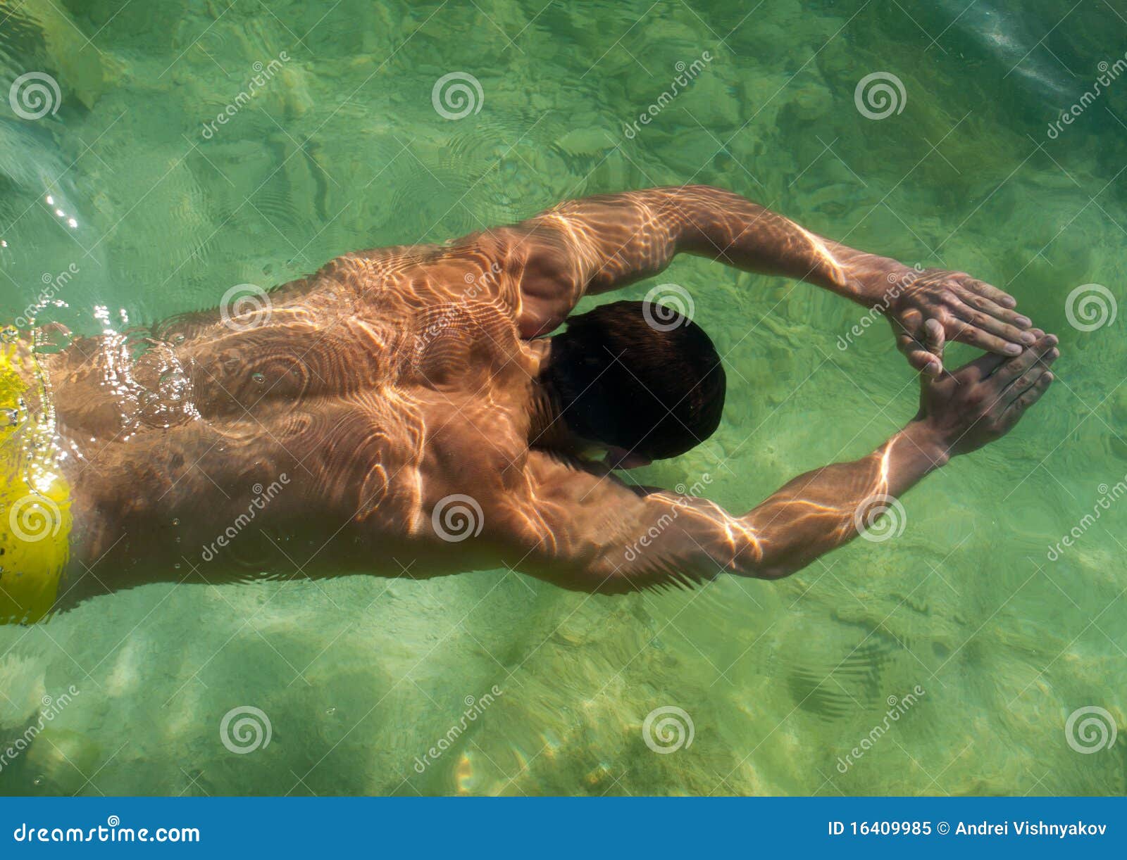 Swimming model stock image. Image of toned, exercise - 16409985