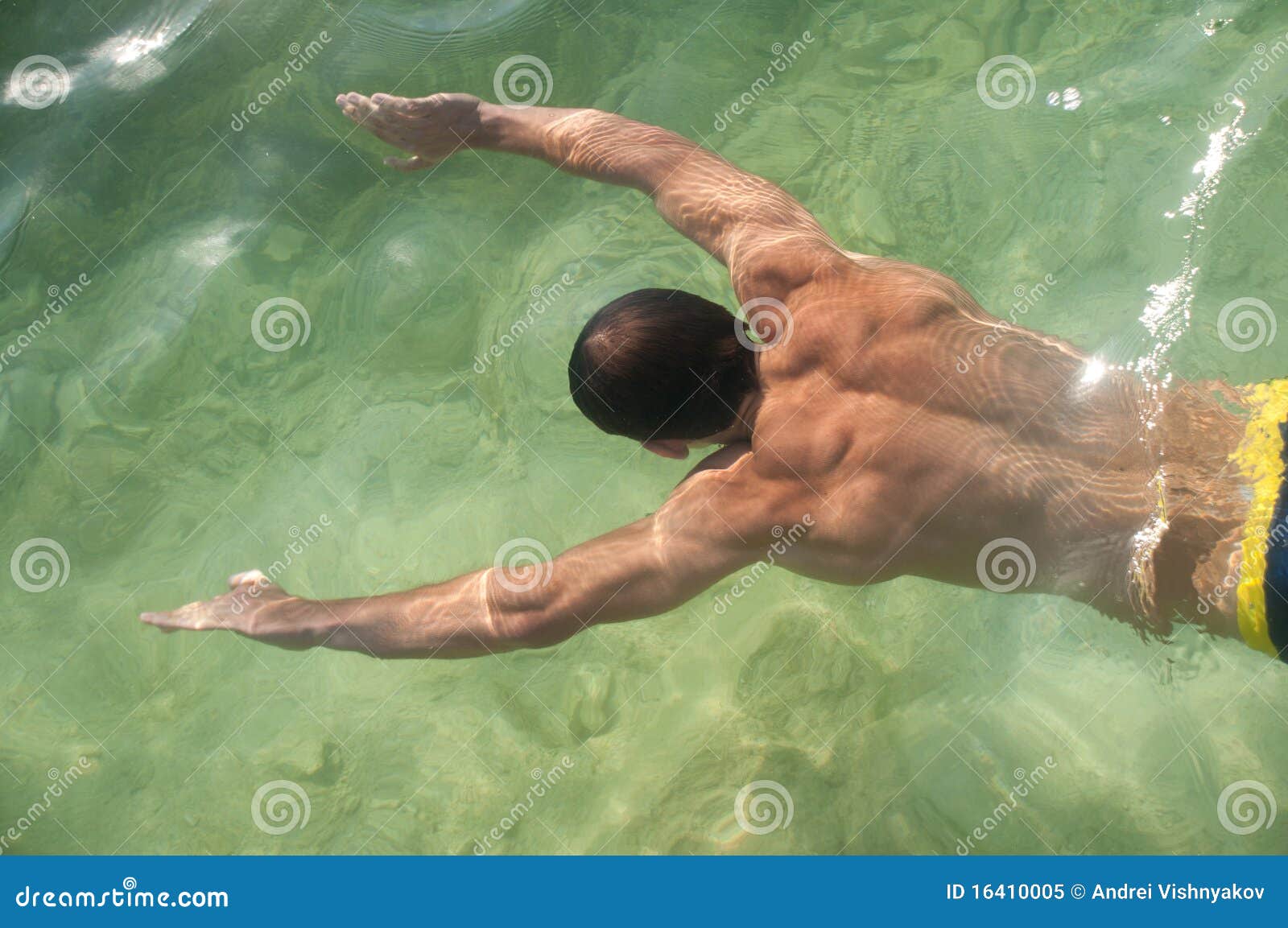 Swimming model stock image. Image of abdomen, athlete - 16410005