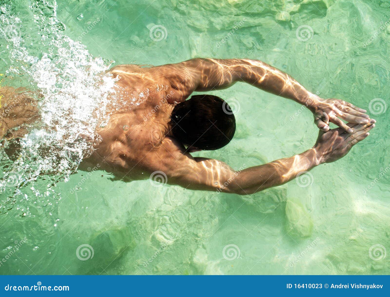 Swimming model stock image. Image of fitness, bodybuilder - 16410023