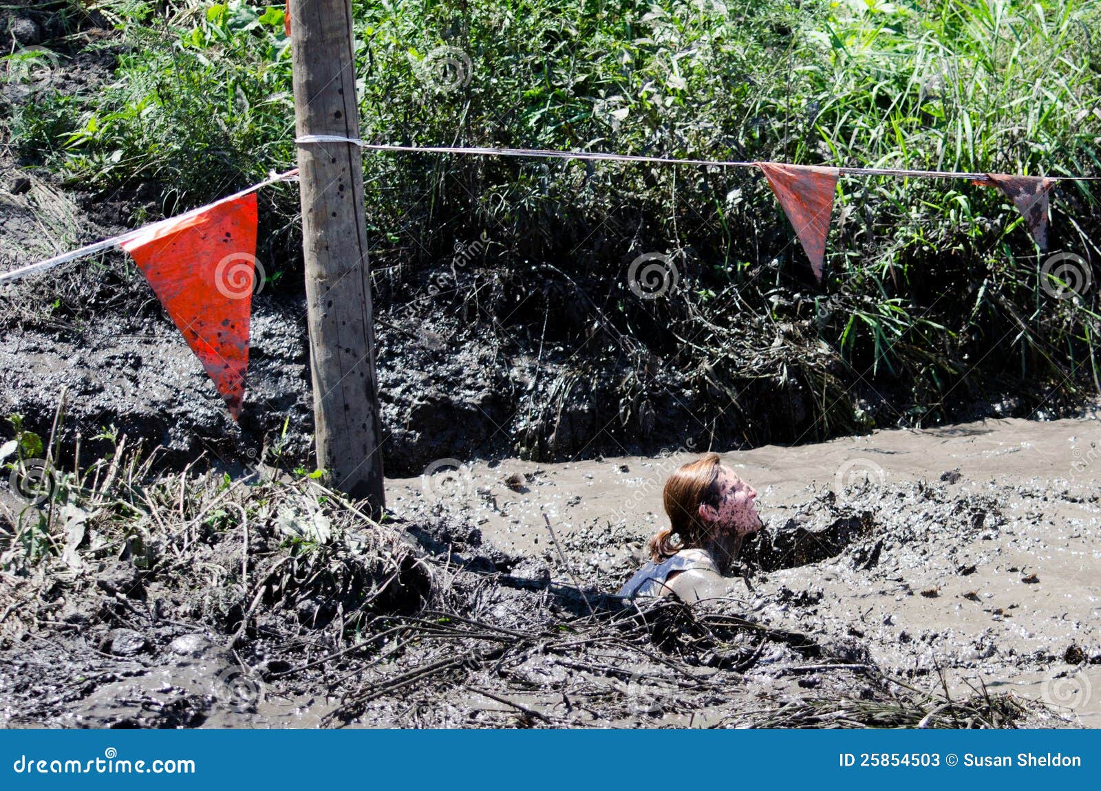 Swimming in mud editorial stock photo. Image of dirty - 25854503
