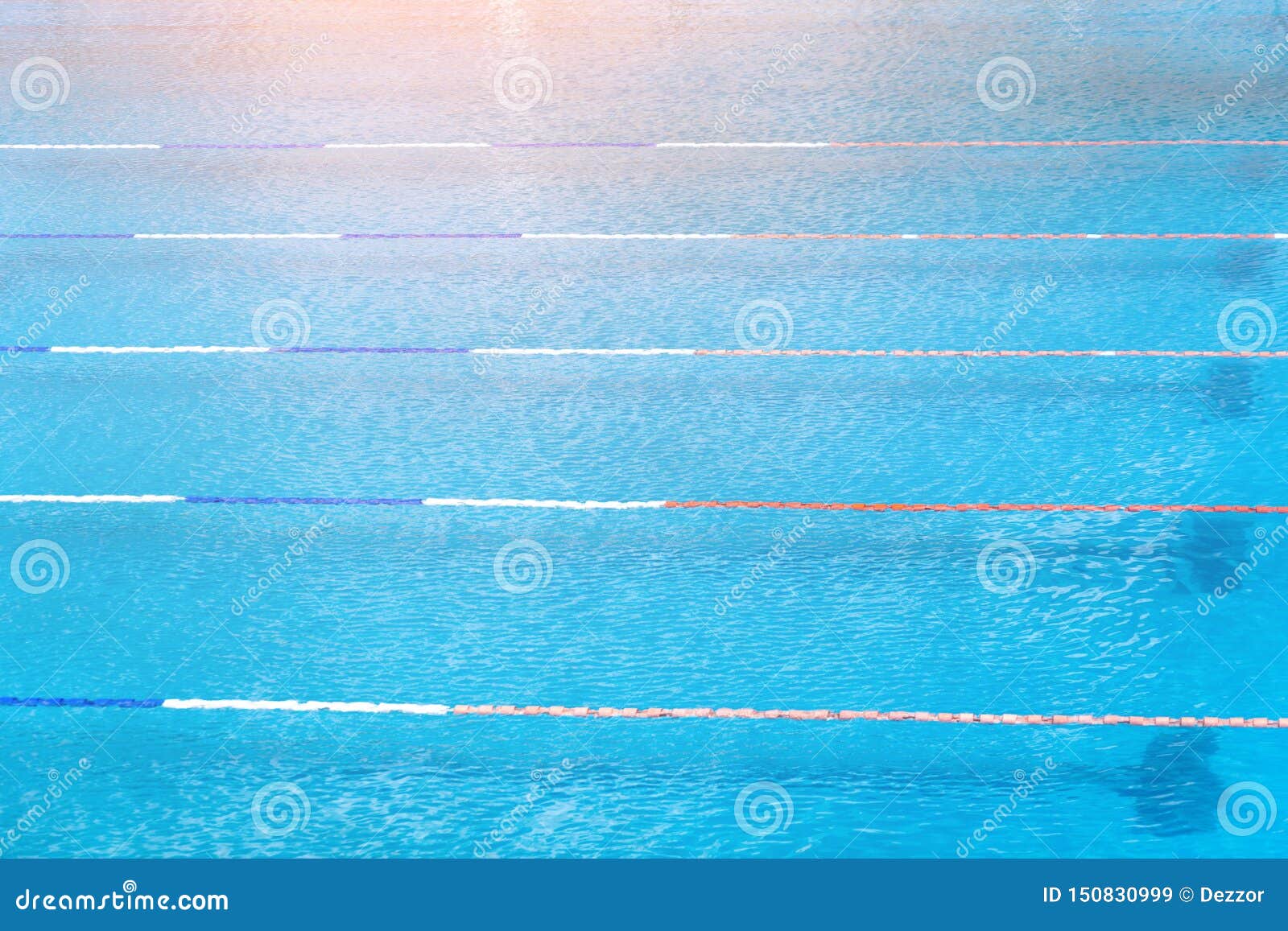 Swimming Paths in the Sports Pool with Water Stock Image - Image of ...