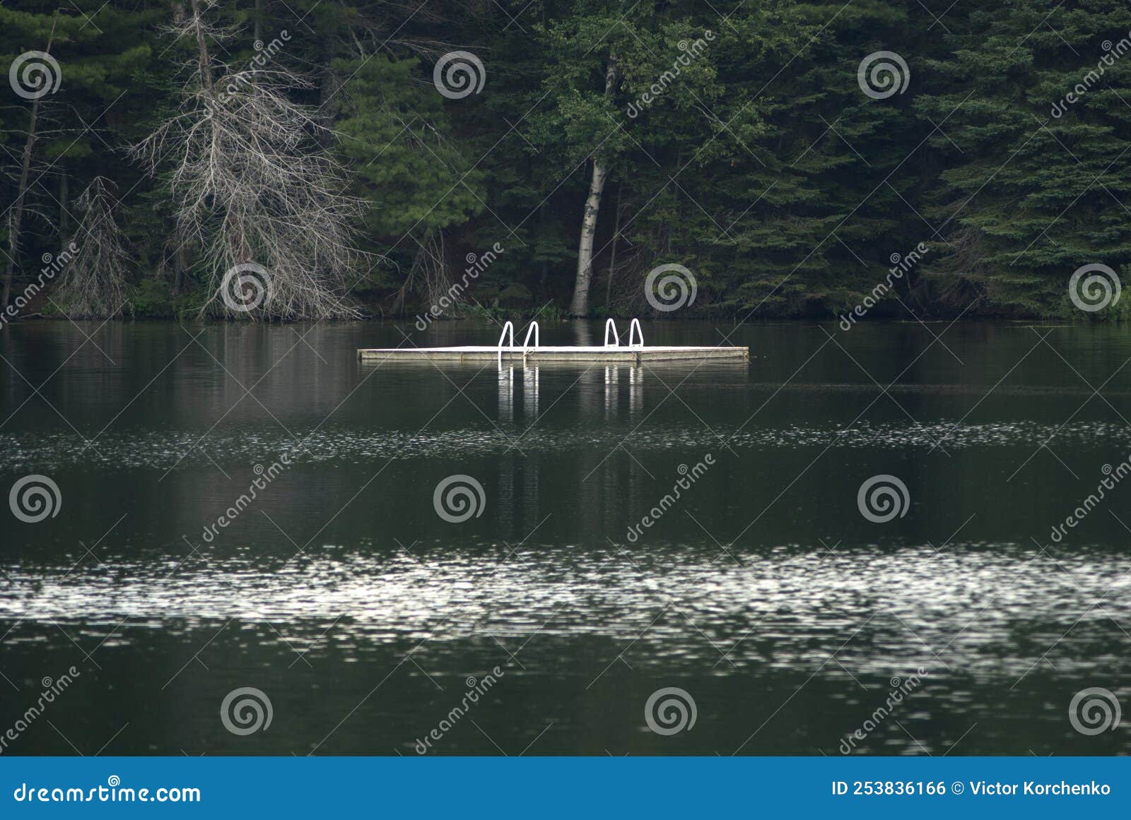 Swimming Platform on a Lake in Northern Ontario Stock Photo - Image of ...