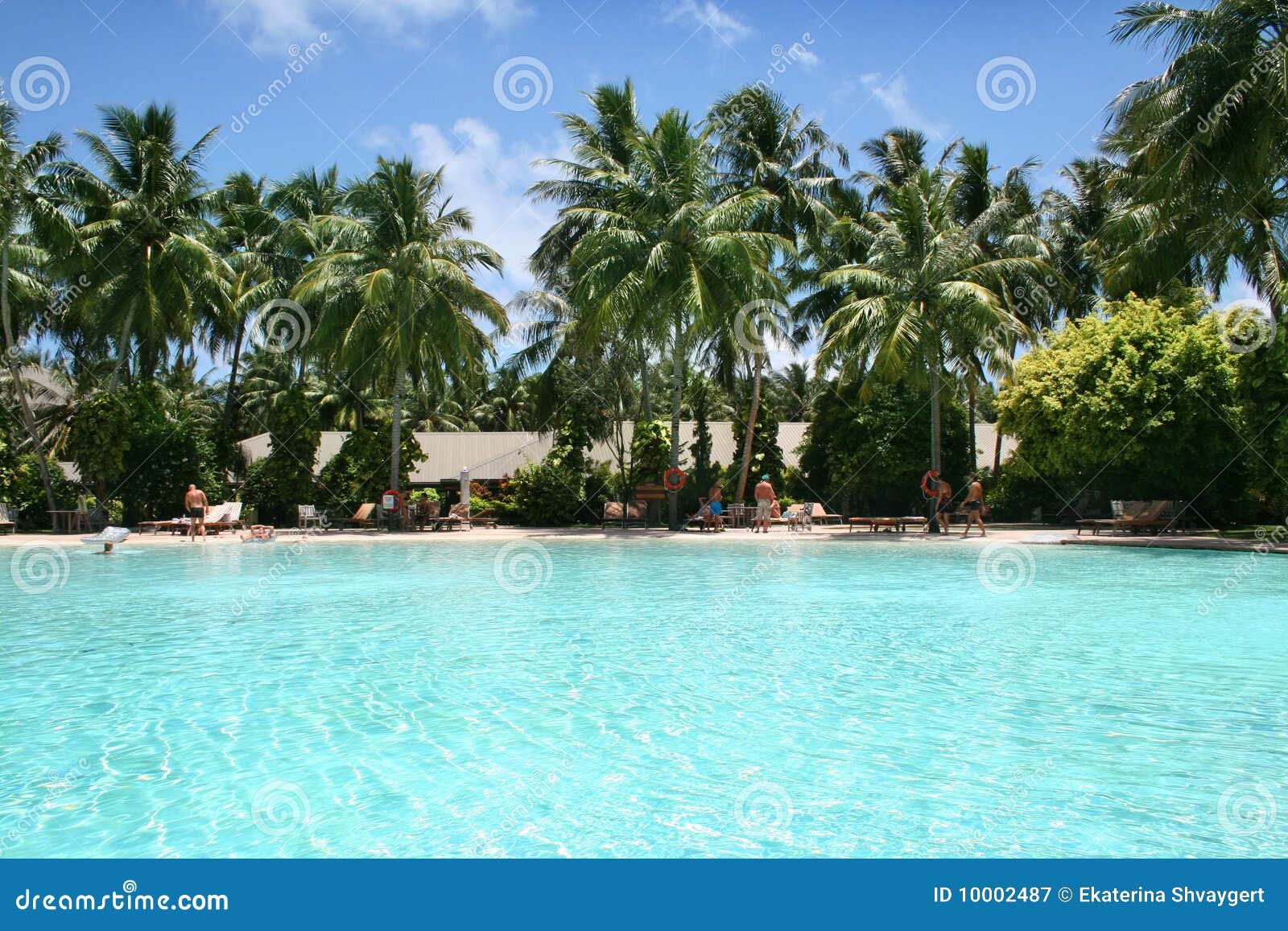 Swimming pool stock image. Image of island, beach, landscape - 10002487