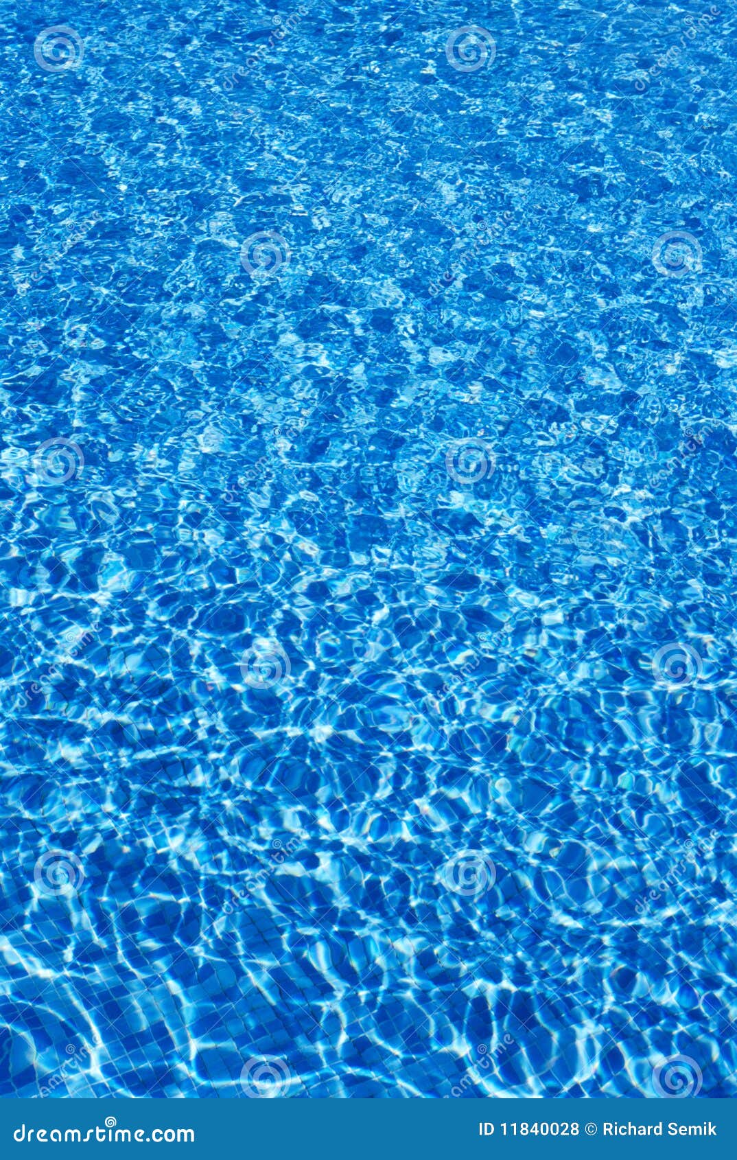 Swimming pool stock photo. Image of outside, light, calmness - 11840028