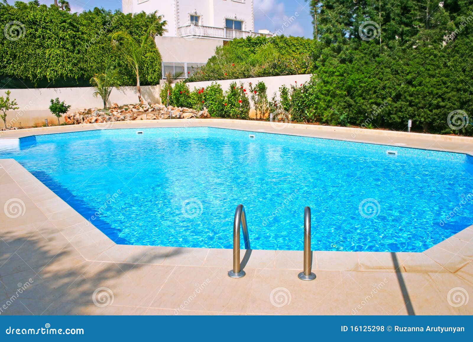 Swimming pool stock photo. Image of palm, summer, pool - 16125298
