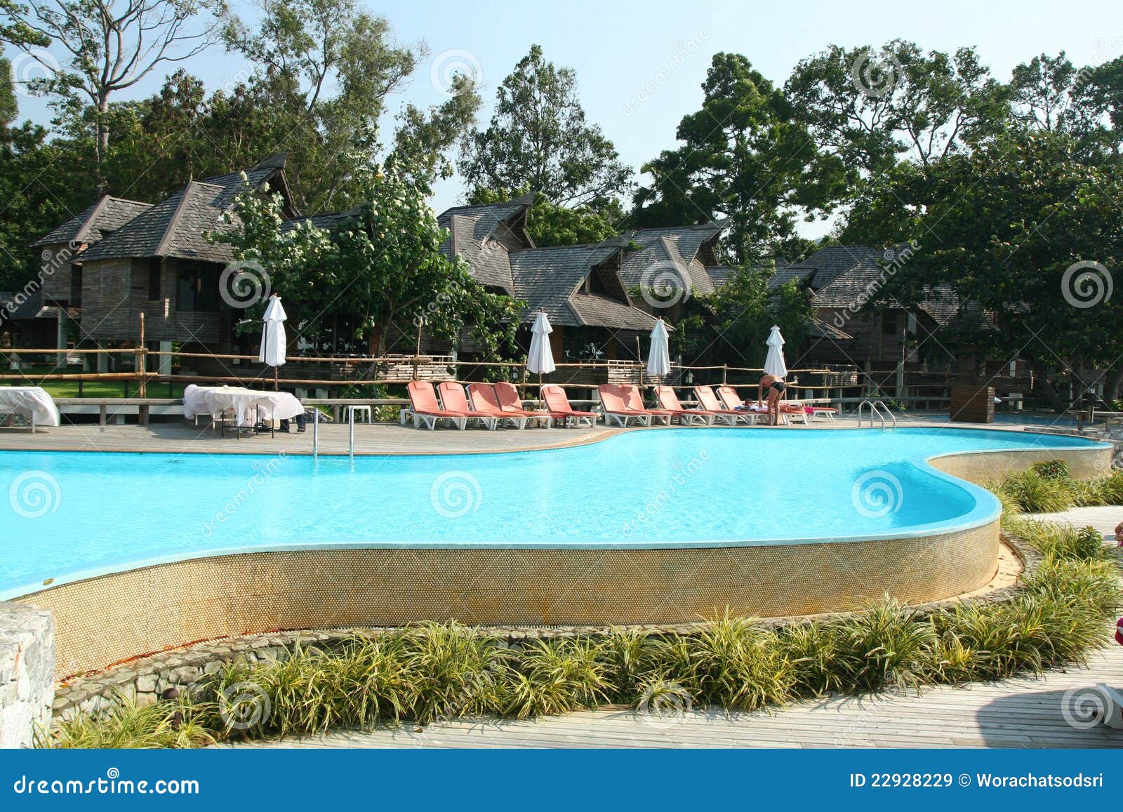 Swimming pool stock image. Image of island, palm, leaf - 22928229