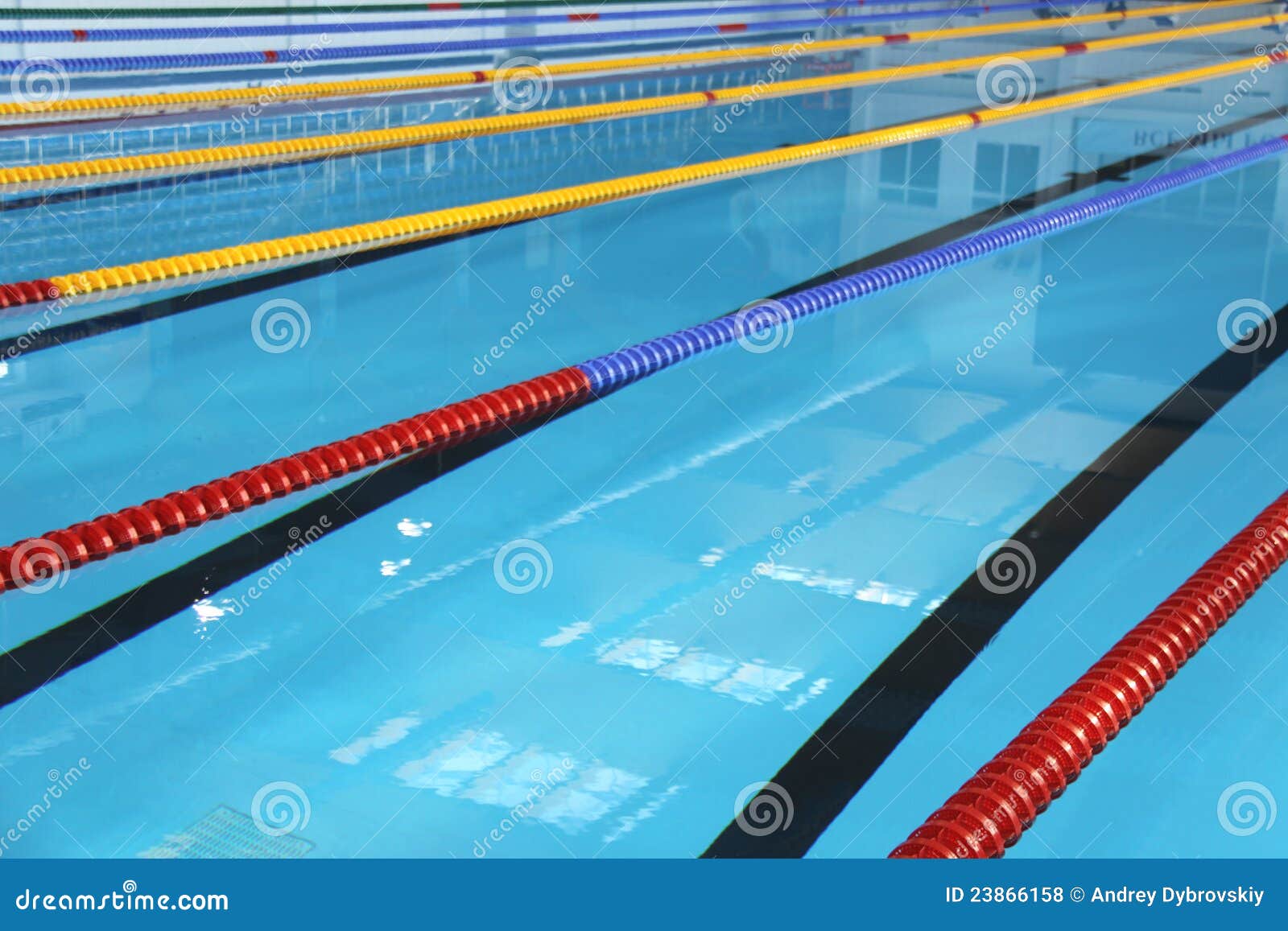 Olympic Swimming Pool Clip Art
