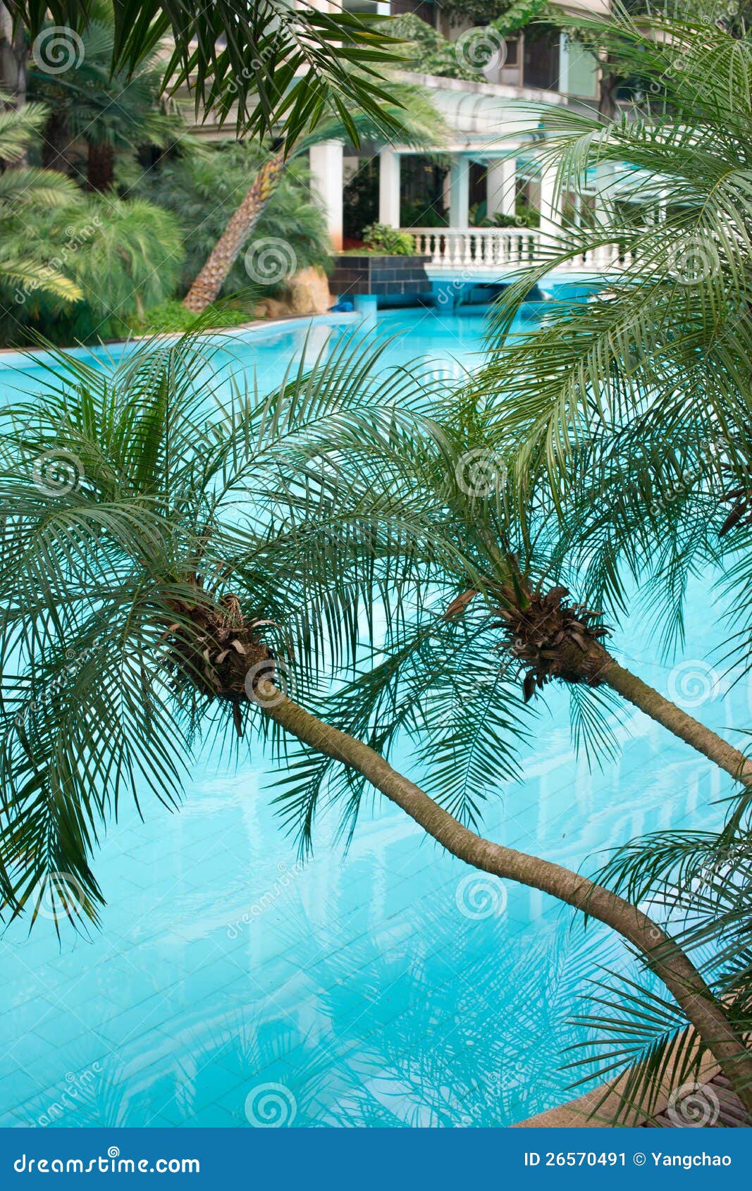 Swimming pool stock image. Image of beautiful, paradise - 26570491