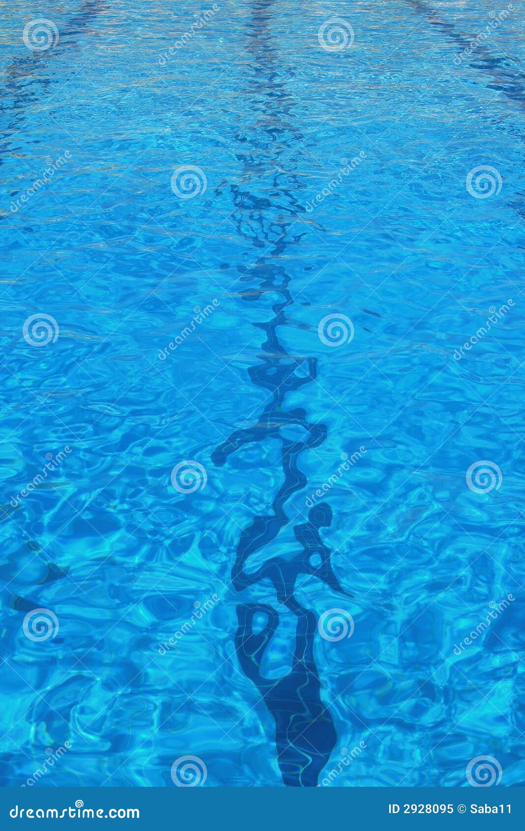 Swimming pool stock image. Image of vertical, swim, striped - 2928095