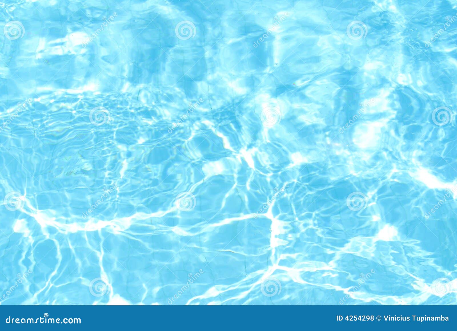Swimming Pool stock photo. Image of swimming, pool, tropical - 4254298