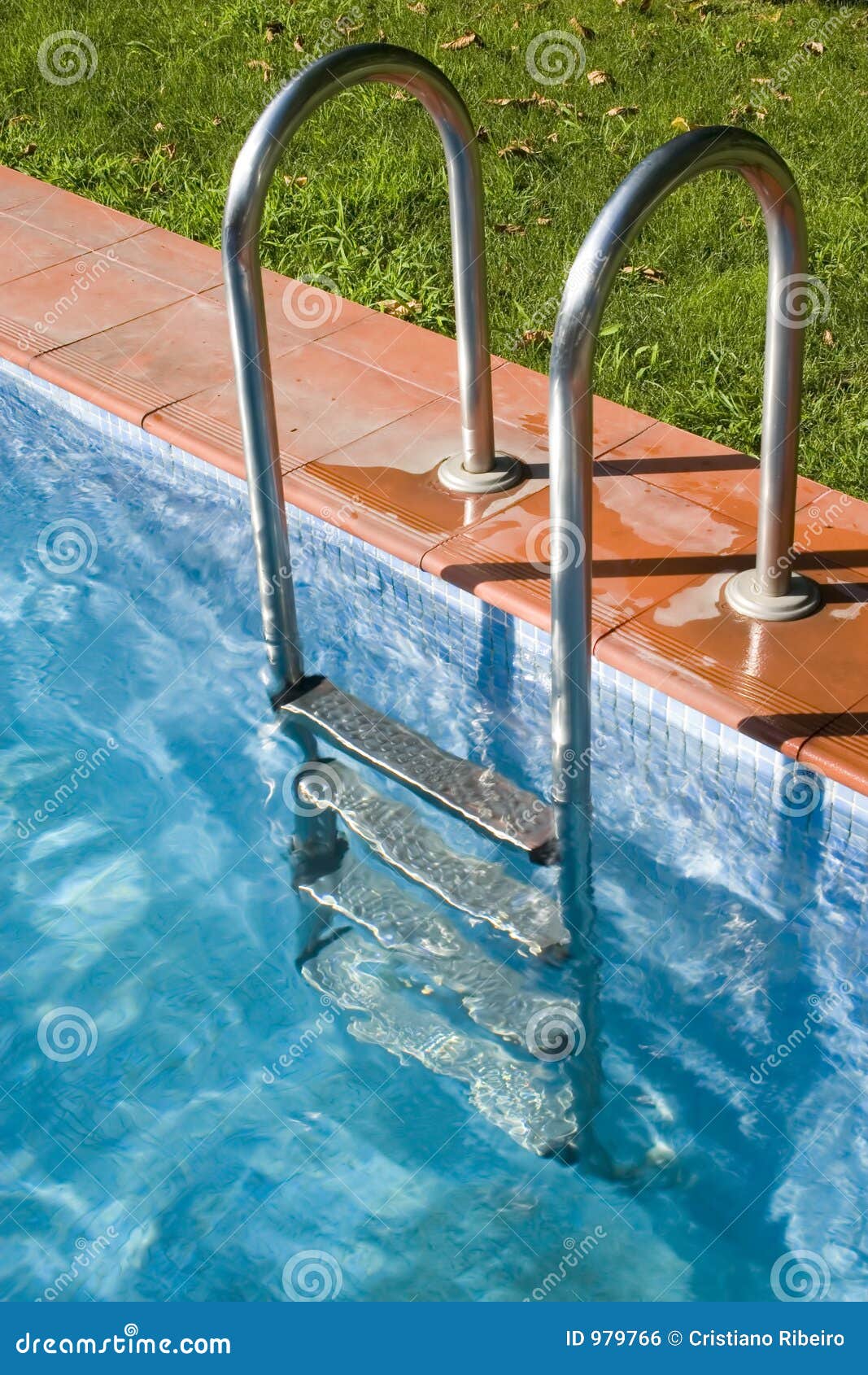 Swimming-pool 5 stock photo. Image of swimming, health - 979766