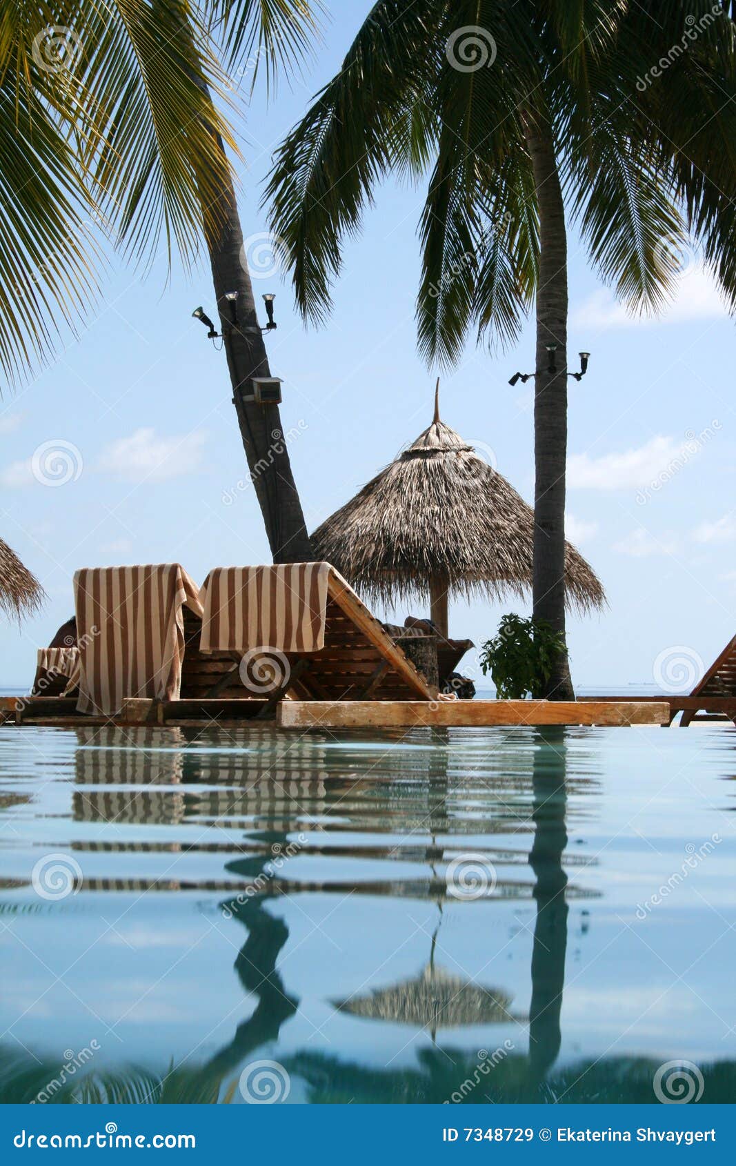 Swimming pool stock image. Image of enjoyment, scene, summer - 7348729