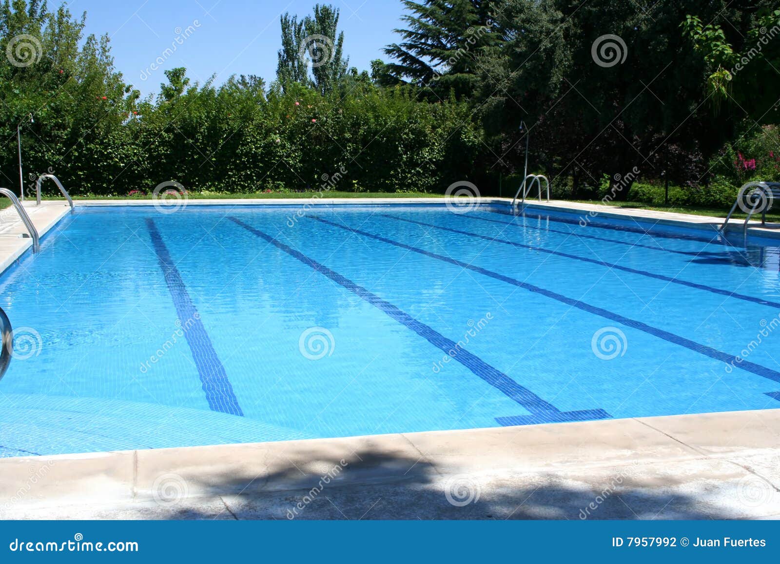 Swimming pool stock photo. Image of relax, pool, barcelona - 7957992