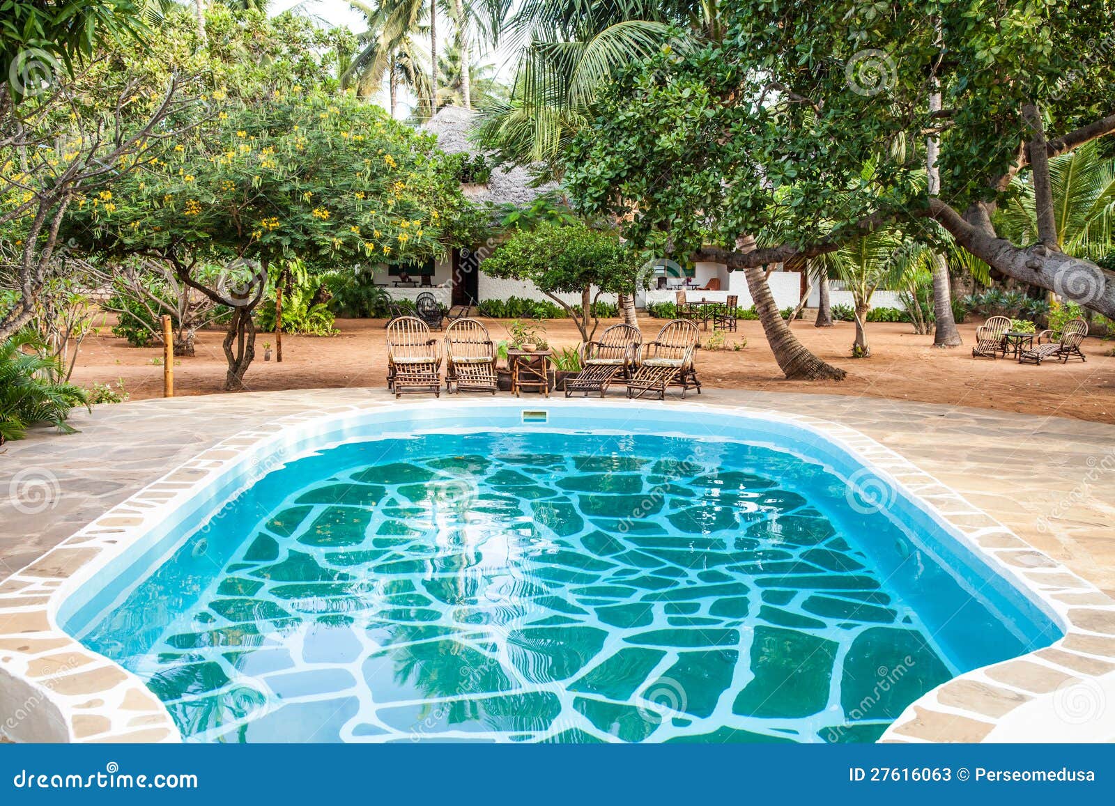 African Garden Fruit Chafer Bugs Are Eating Lettuce Royalty-Free Stock ...