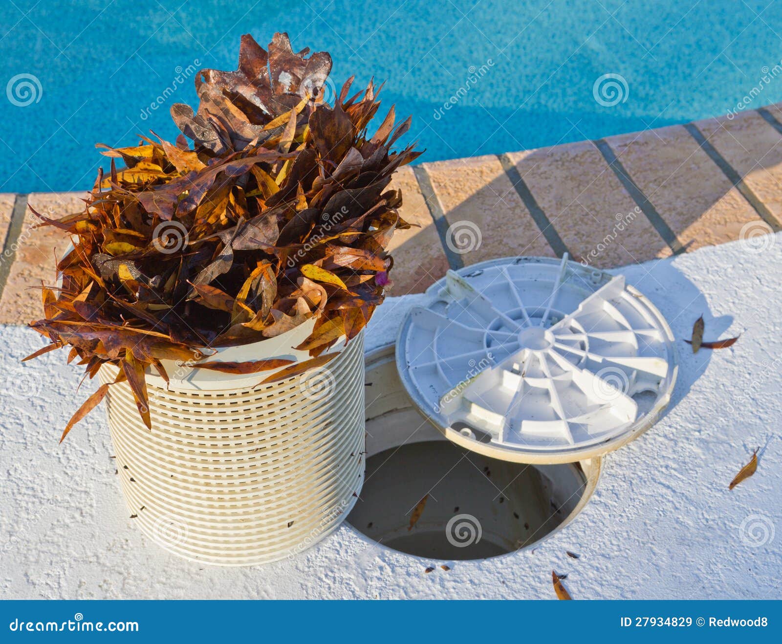 Swimming Pool Basket Cleaner Stock Image - Image of debris, clean: 27934829
