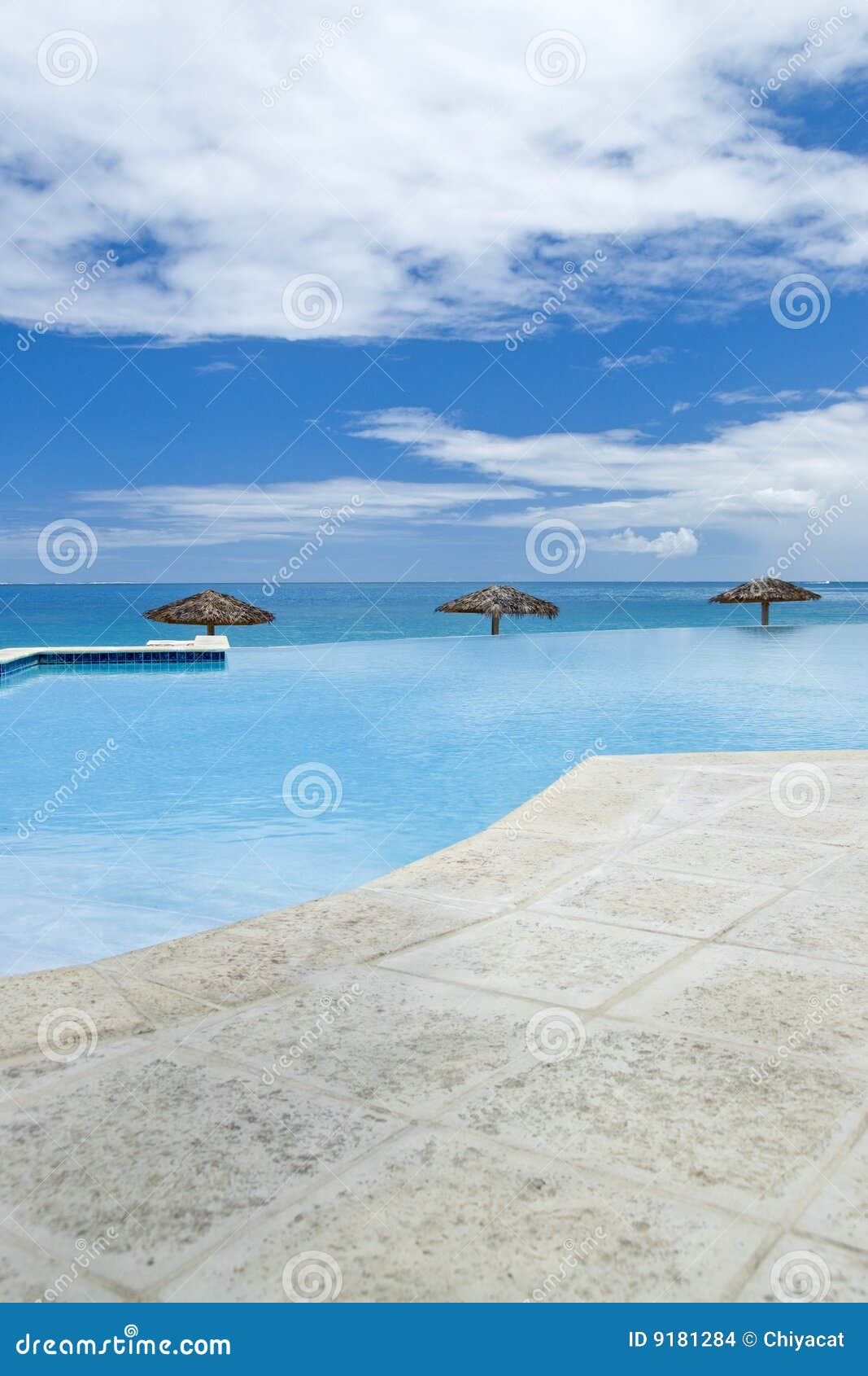 Swimming Pool on the Beach stock photo. Image of umbrellas - 9181284
