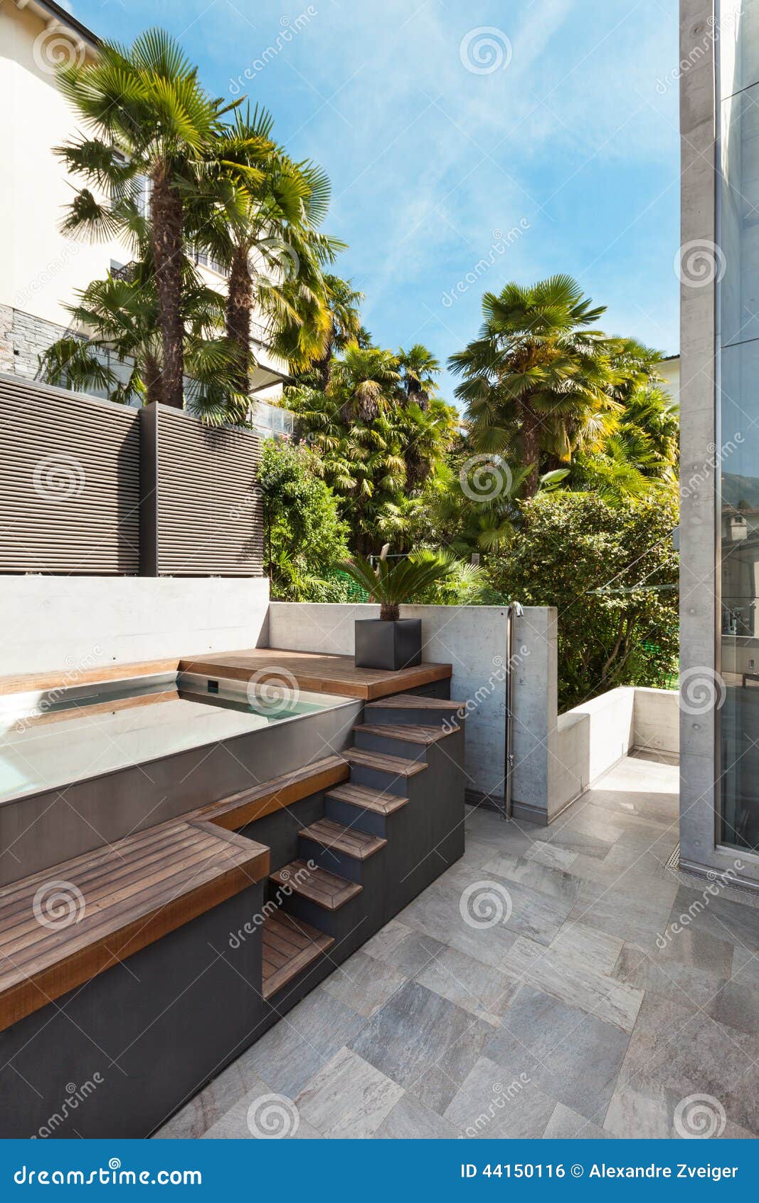 Swimming pool stock photo. Image of tree, detail, wall - 44150116