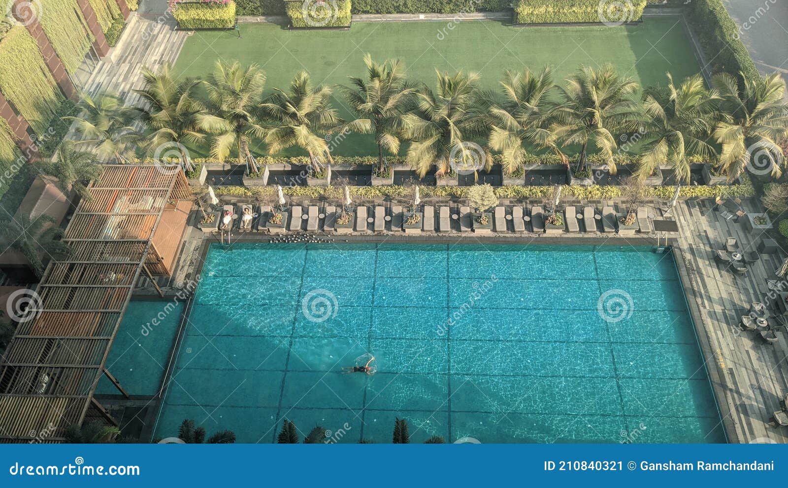 Swimming Pool Bird S Eye View Stock Image - Image of birds, view: 210840321