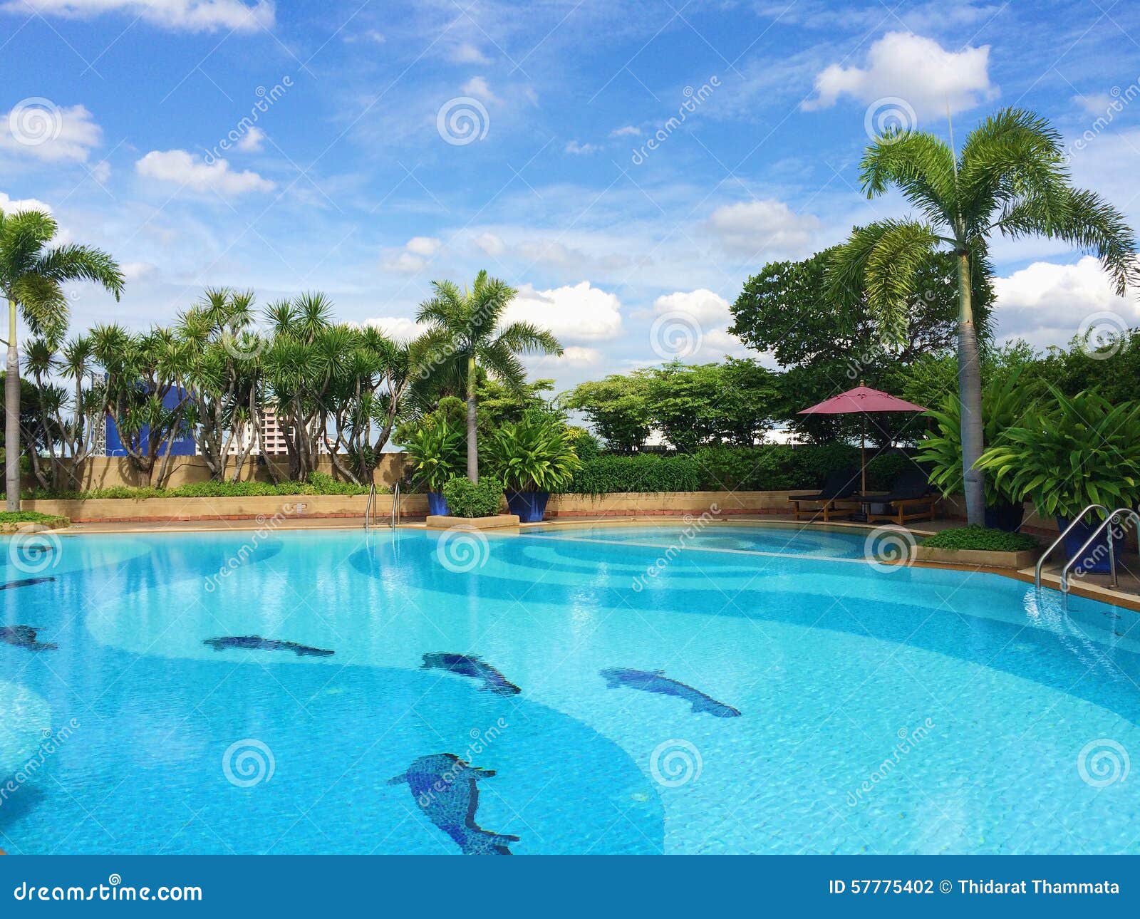 Swimming pool stock photo. Image of cloud, light, valley - 57775402