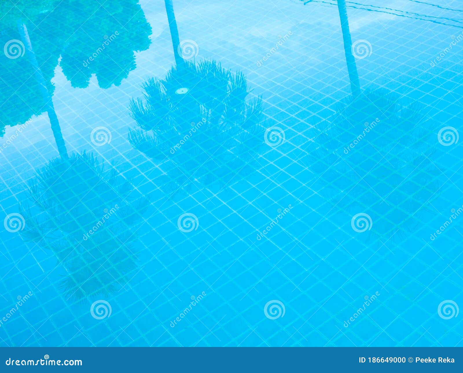 Swimming Pool with Blue Water and Reflection of Palm Trees Stock Photo ...