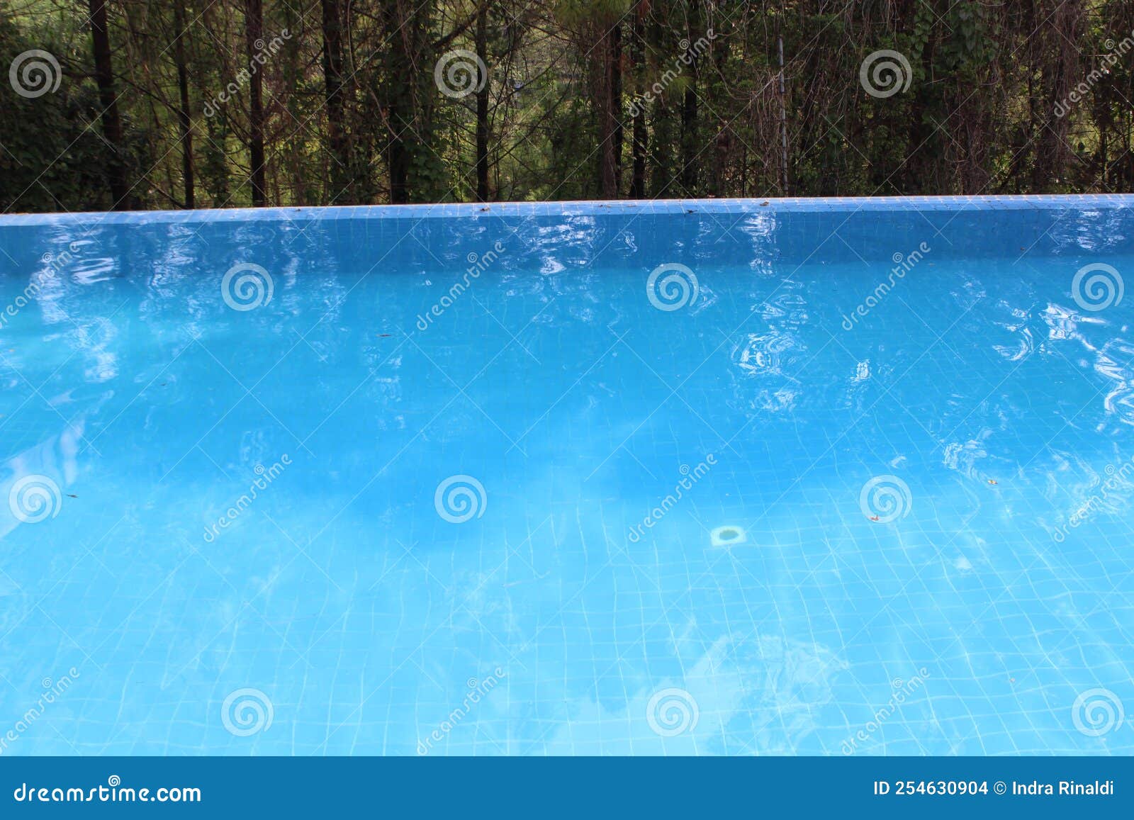 A Swimming Pool on a Bright Day Stock Photo - Image of leisure, lawn ...