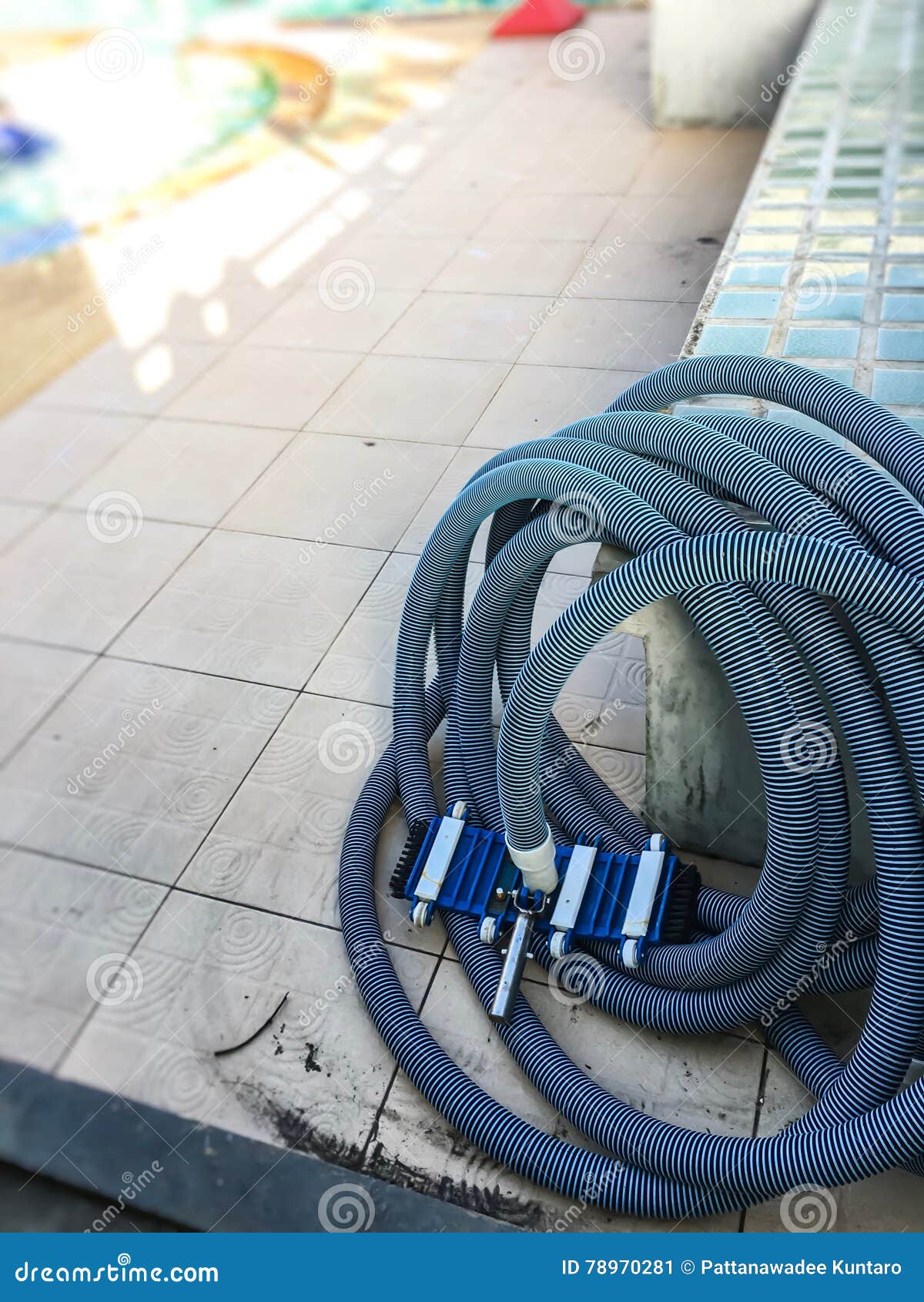 Swimming Pool Cleaning Equipment/tools Stock Image - Image of care ...