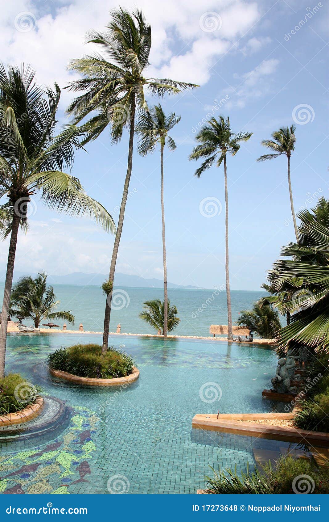 Swimming Pool with Coconut Tree Stock Photo - Image of resort, coast ...
