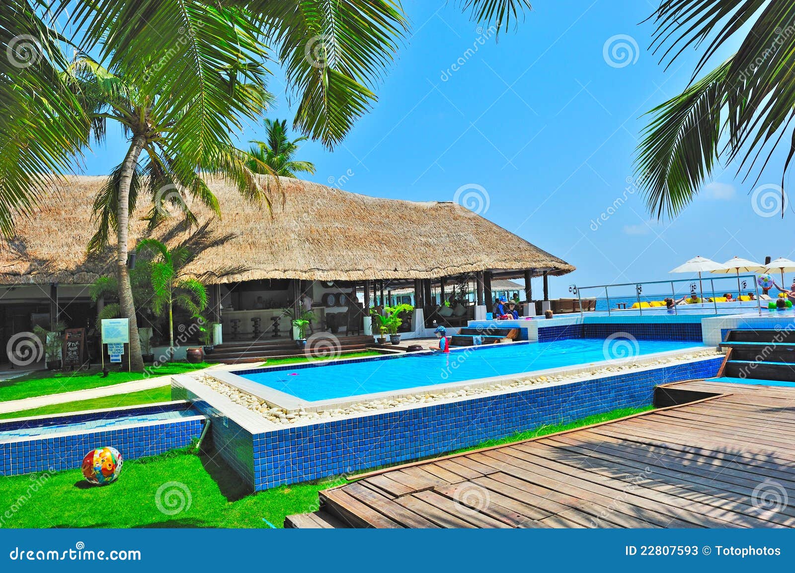 Swimming Pool with Coconut Tree Stock Image - Image of luxury, holiday ...