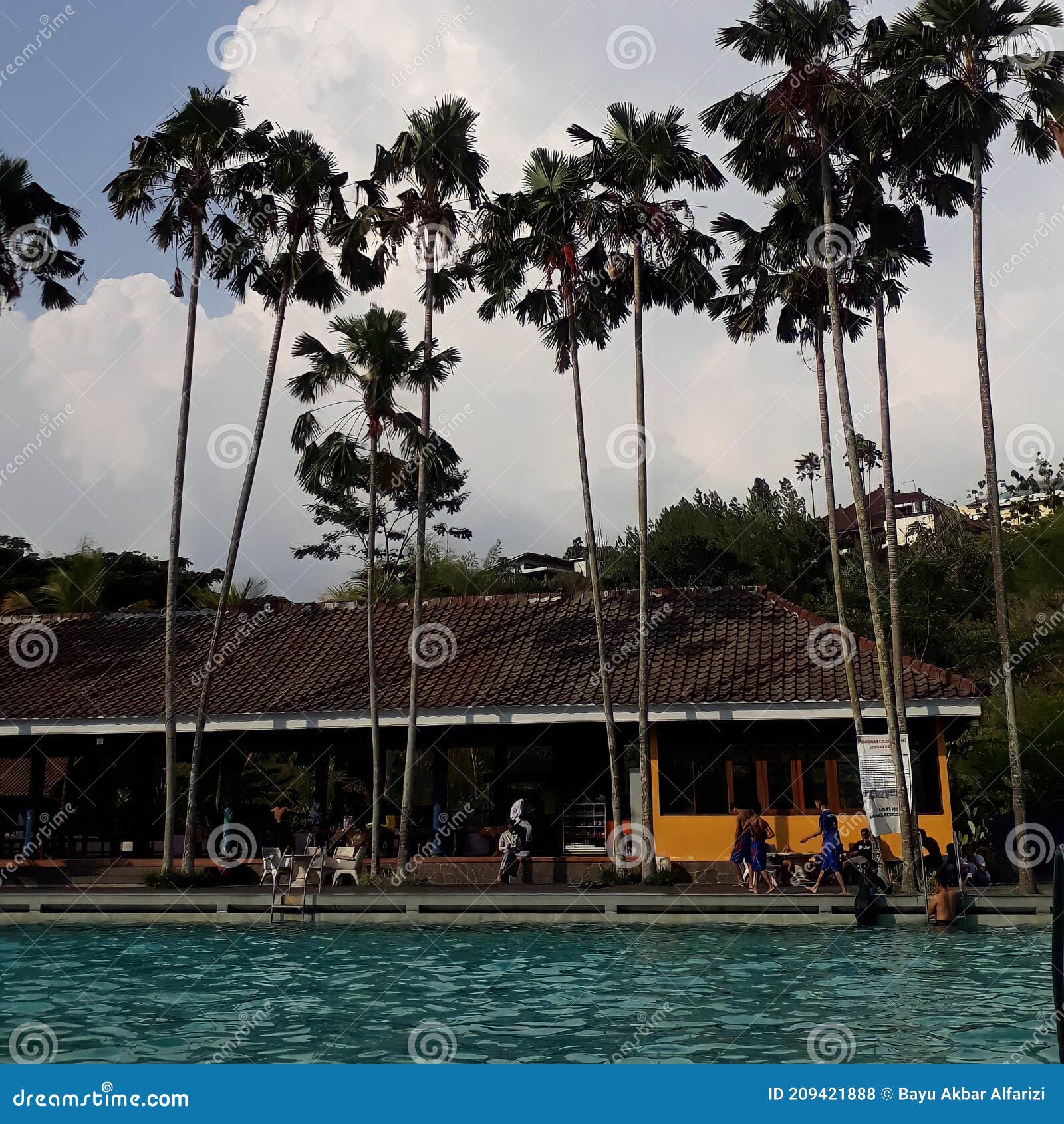 A Swimming Pool and Coconut Trees Editorial Stock Photo - Image of ...