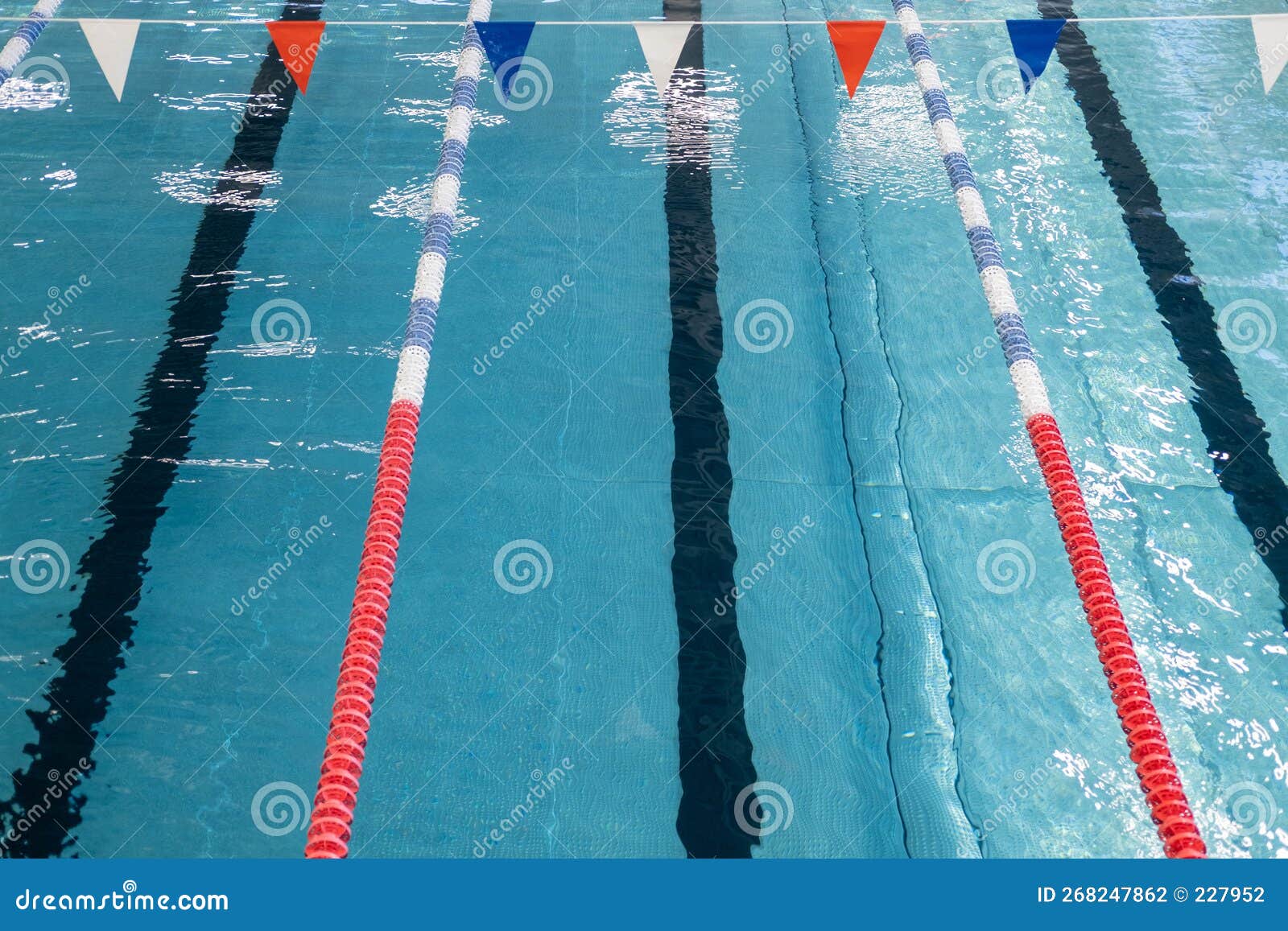 Swimming Pool for Swimming Competitions. Empty Paths of a Competitive ...