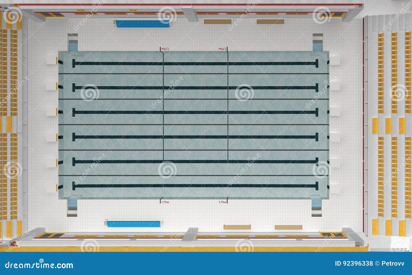 Swimming Pool for Competitions Top View Stock Illustration ...
