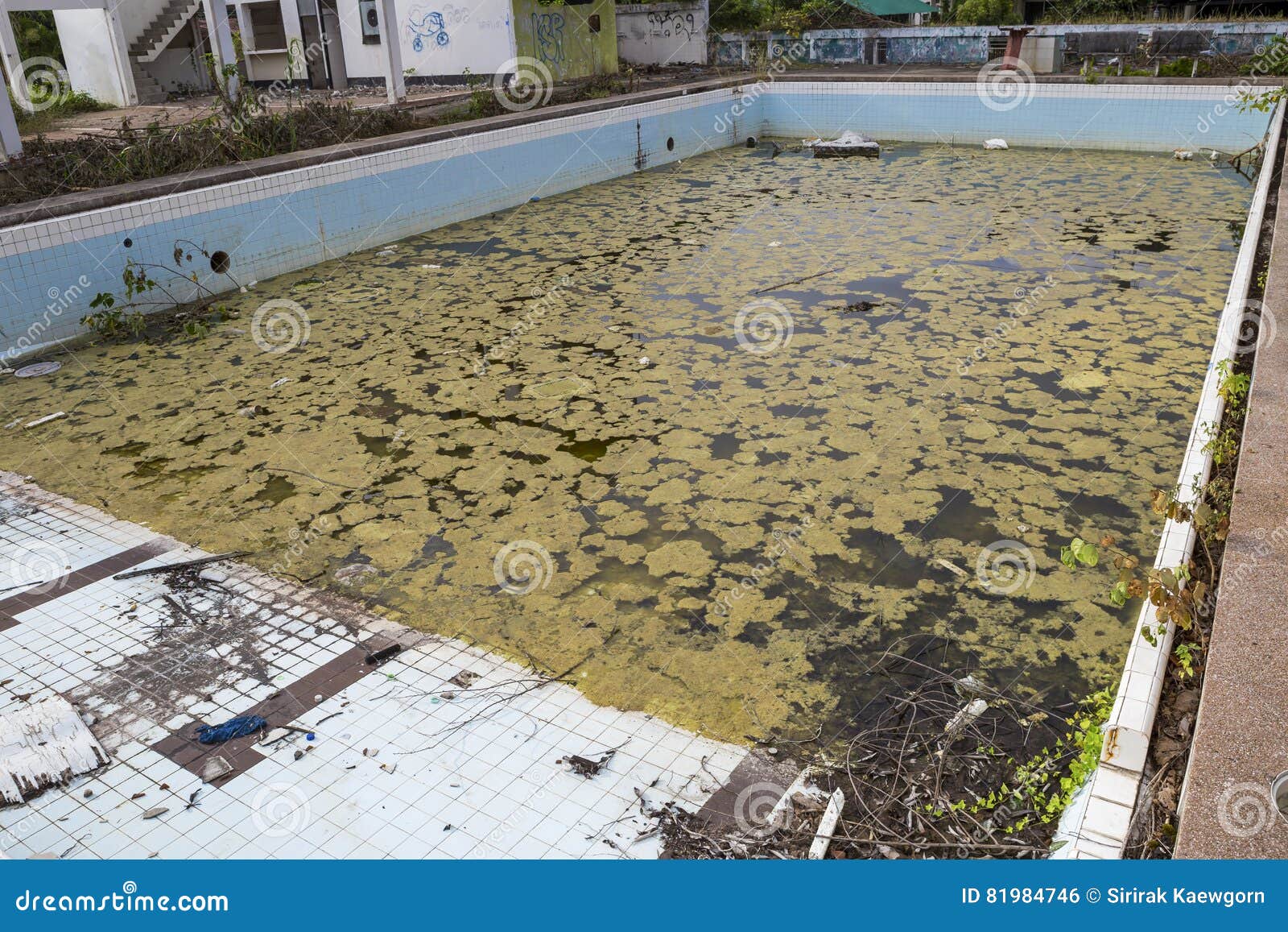 Swimming pool damage stock photo. Image of horrendous - 81984746
