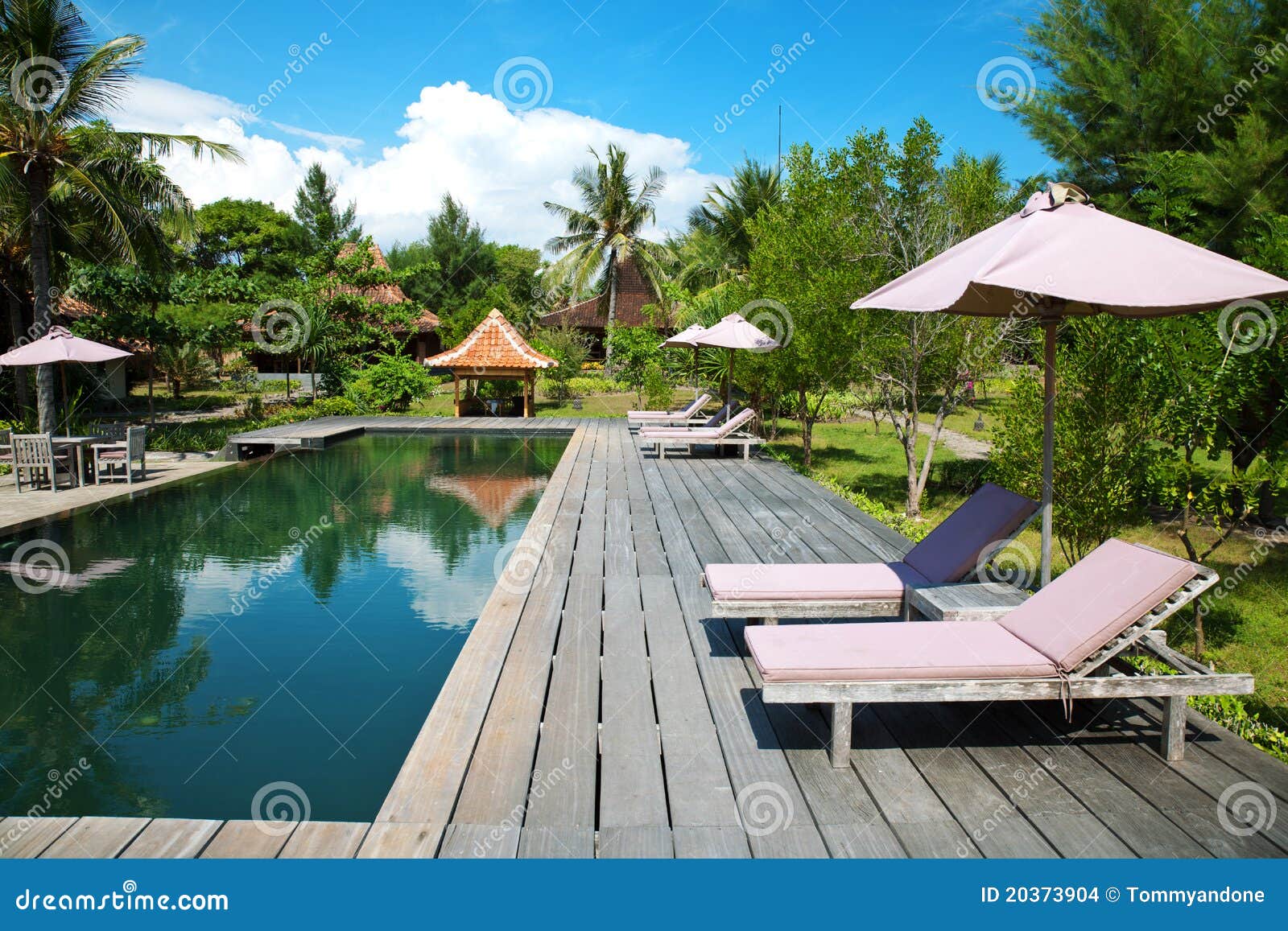 Swimming Pool at an Eco Resort Stock Photo - Image of deckchair, light ...