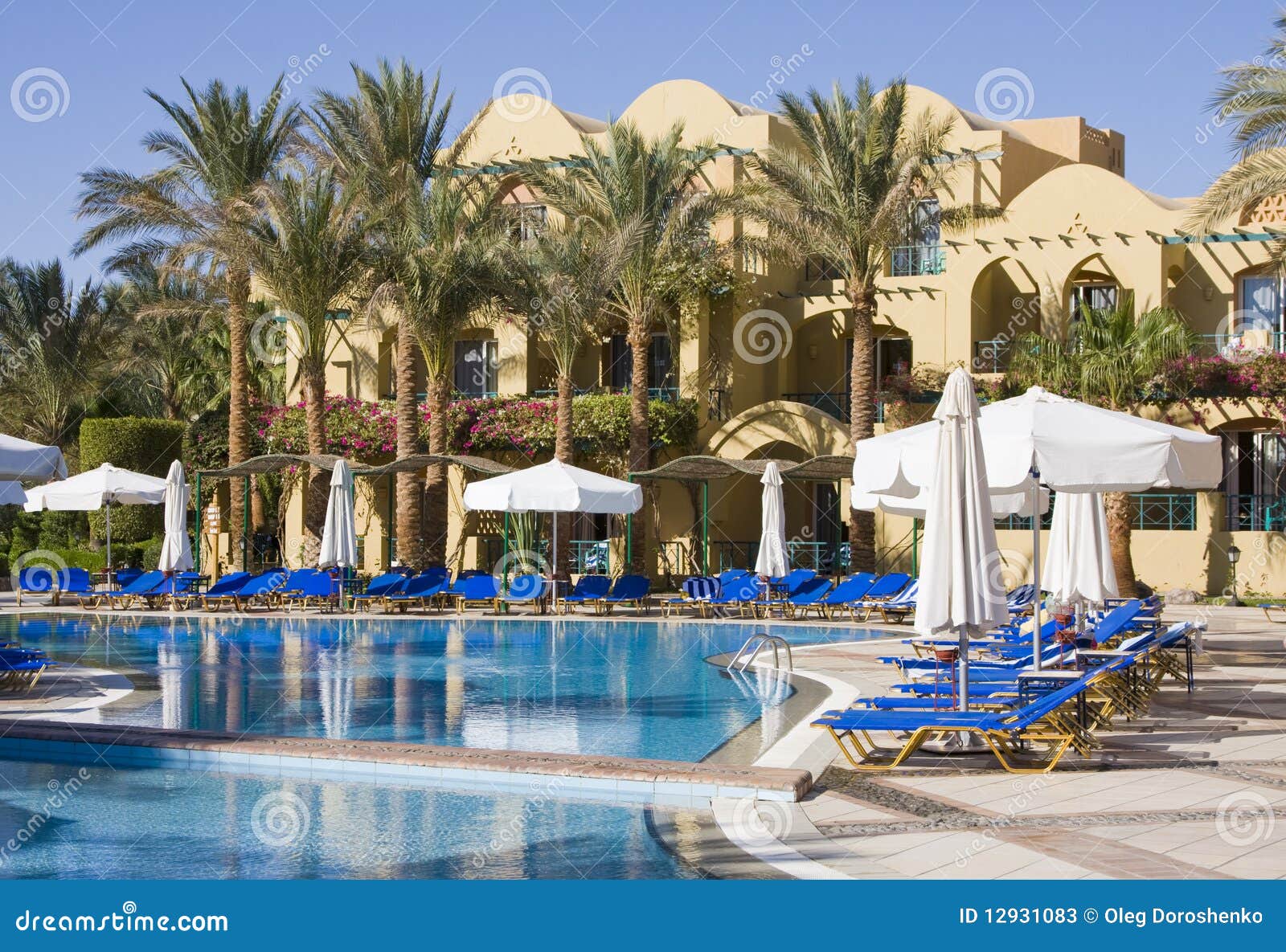 Swimming pool. Egypt. stock image. Image of sunny, pool - 12931083