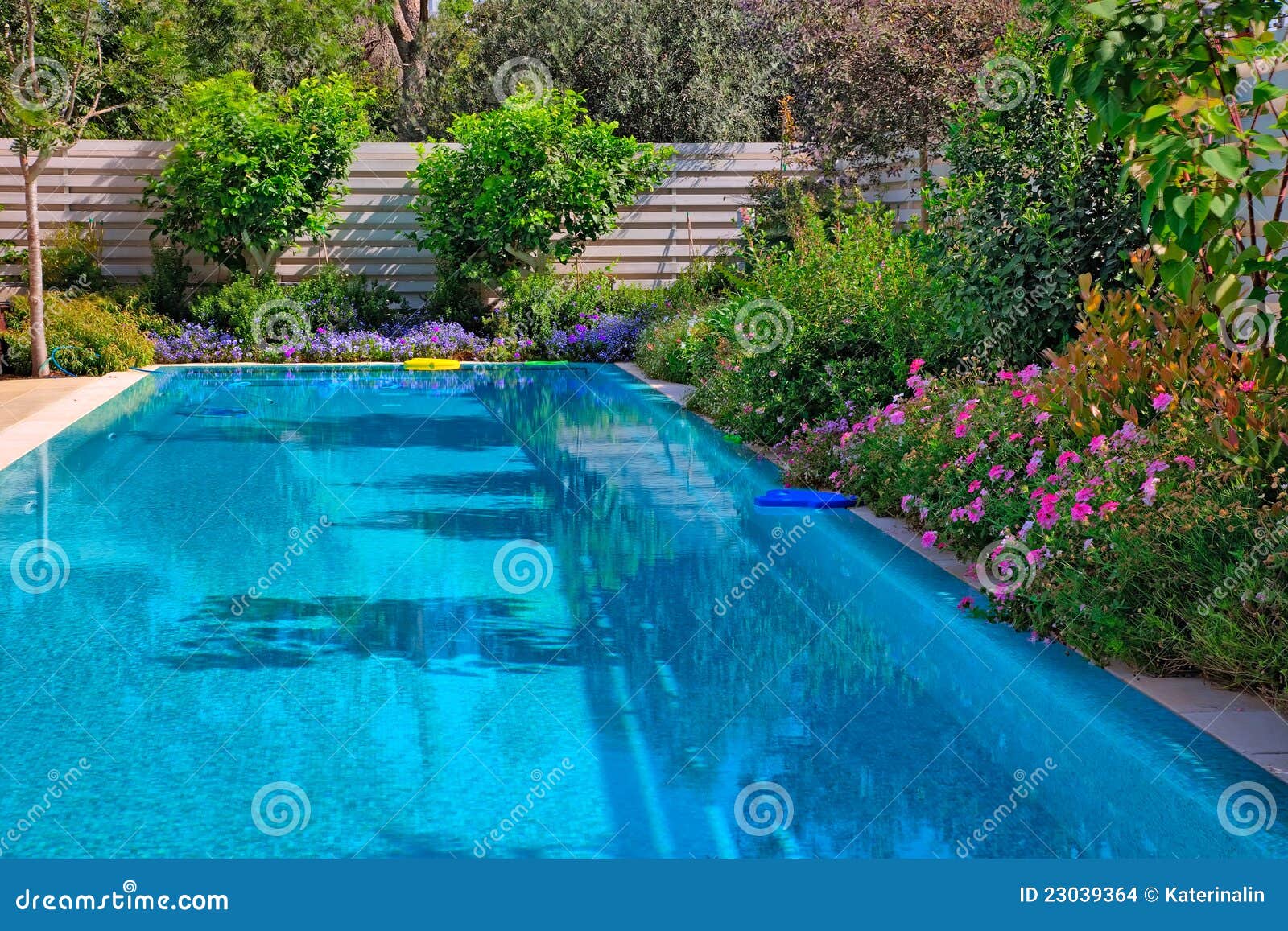 Swimming pool with flowers stock photo. Image of flower - 23039364
