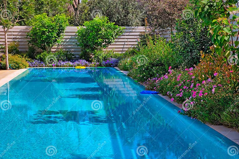 Swimming pool with flowers stock photo. Image of flower - 23039364