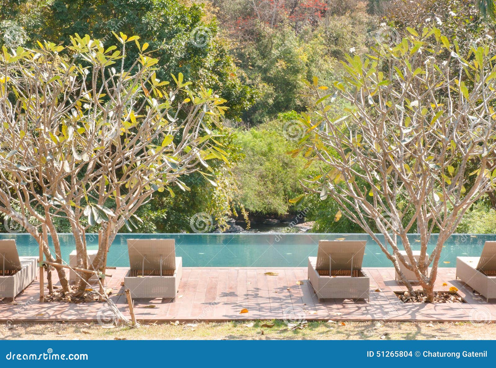 Swimming Pool in the Forest Stock Photo - Image of fresh, relax: 51265804