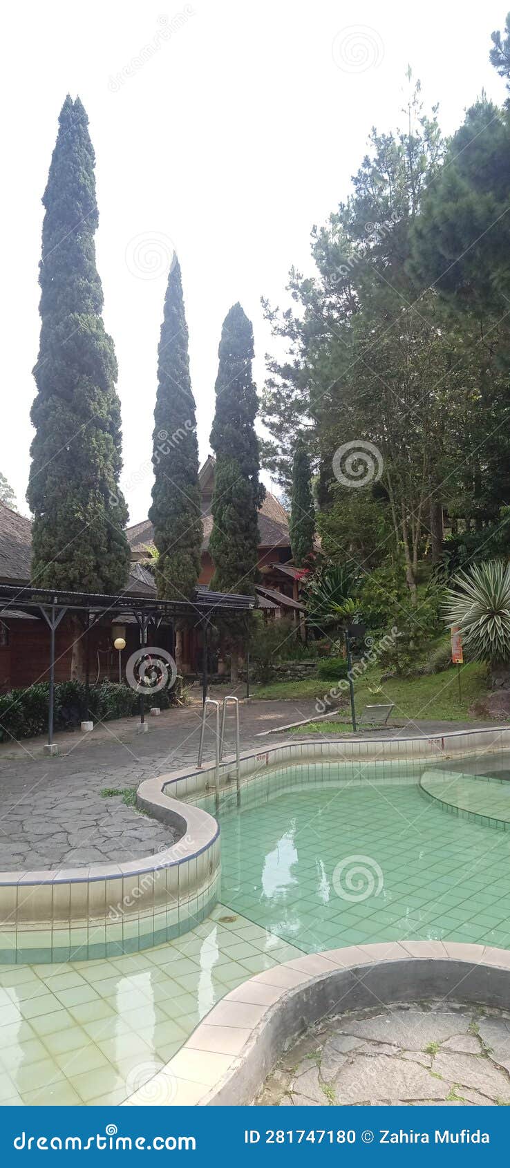 Swimming Pool in the Forest Villa Stock Photo - Image of pool, tree ...