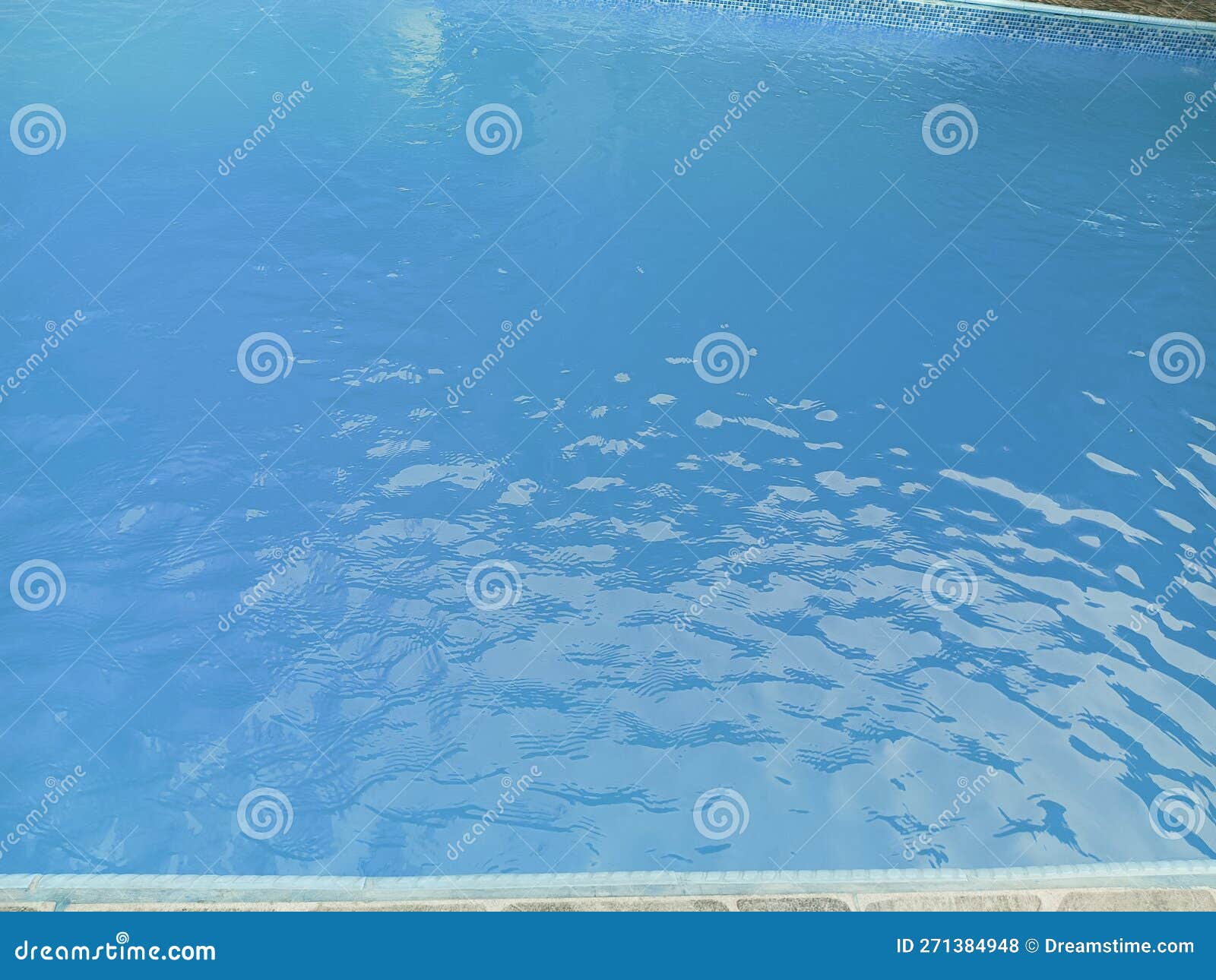 Swimming Pool in the Front Yard of the House Stock Photo - Image of ...