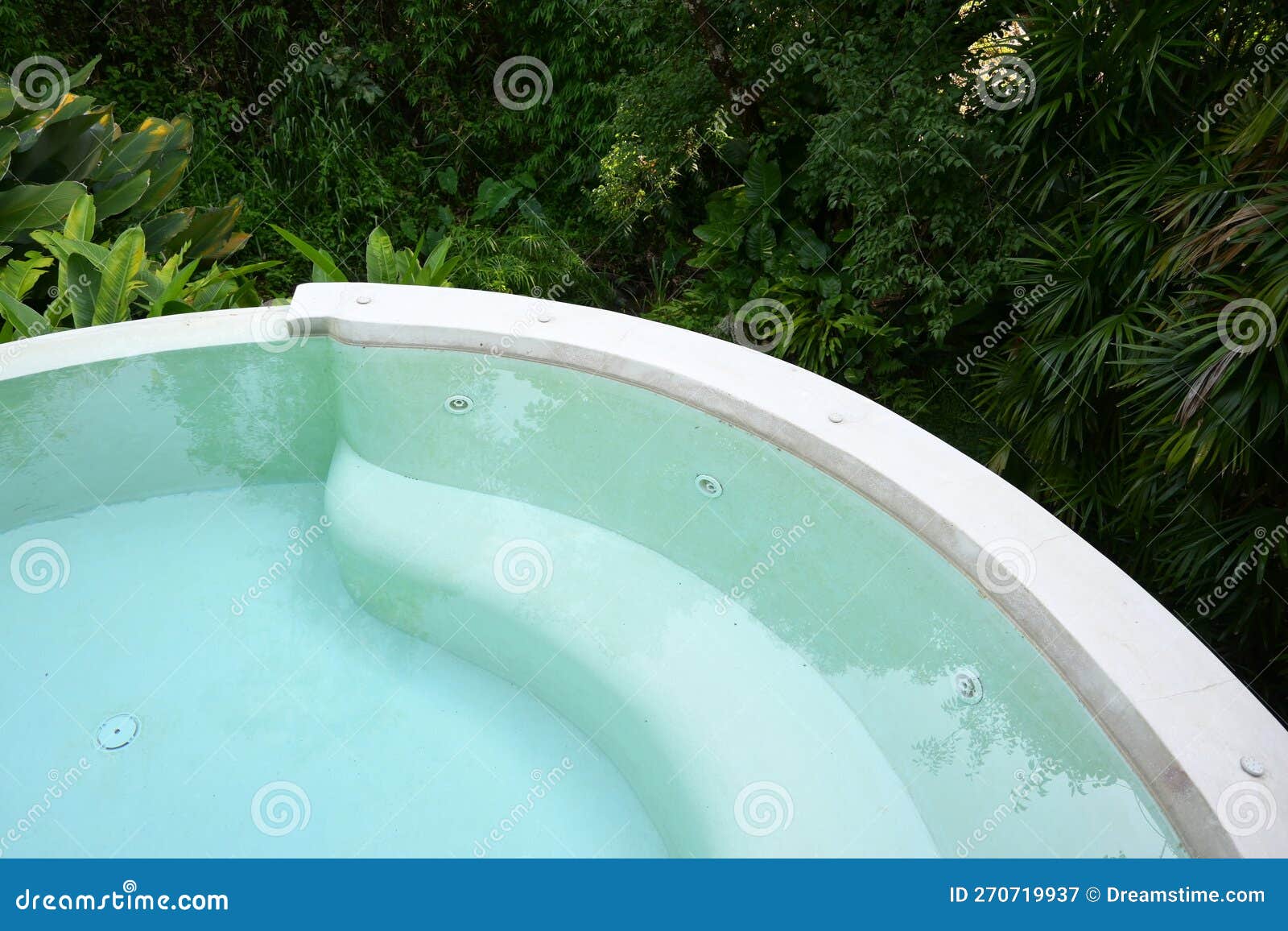 Beautiful Circle Swimming Pool in the Garden Stock Image - Image of ...