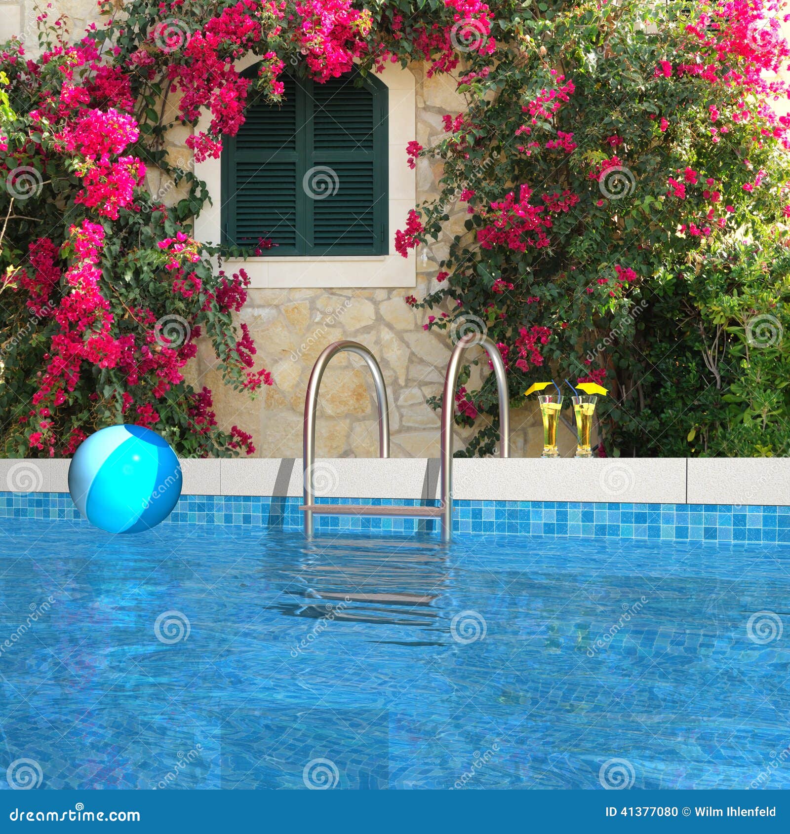 Pool Ladder Garden Stock Illustrations – 88 Pool Ladder Garden Stock ...