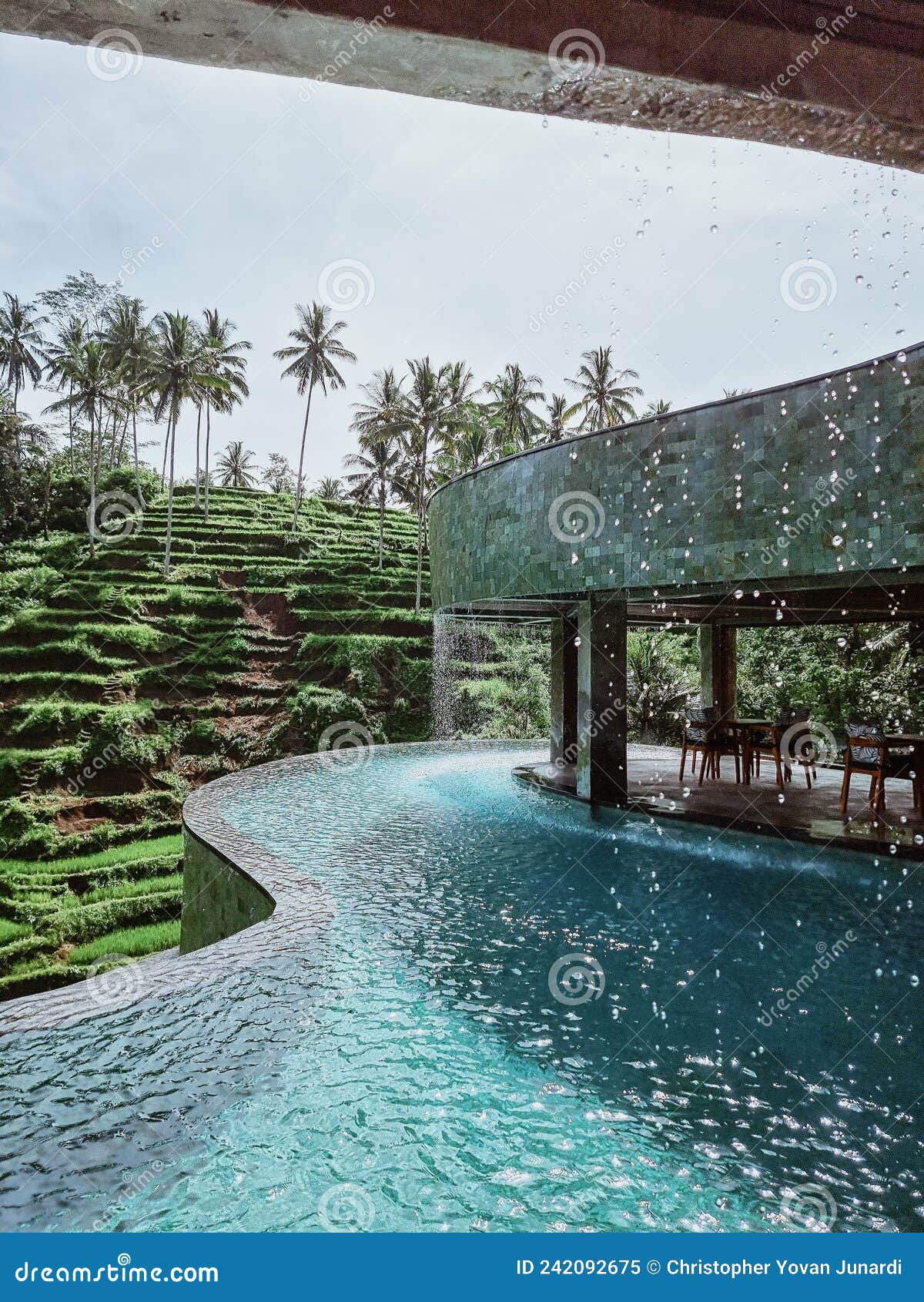 Swimming Pool with Green Rice Field Terrace at Ubud Editorial Image ...