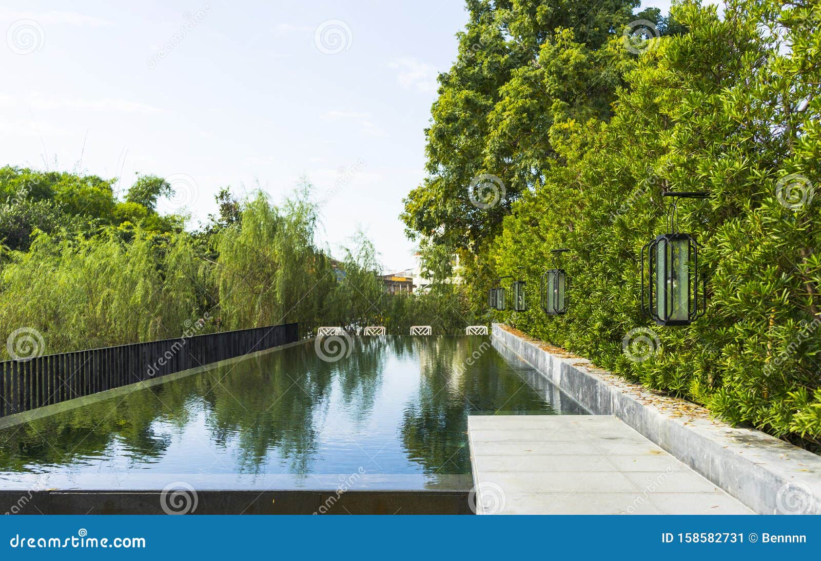 Swimming Pool with Green Trees Stock Image - Image of real, outside ...