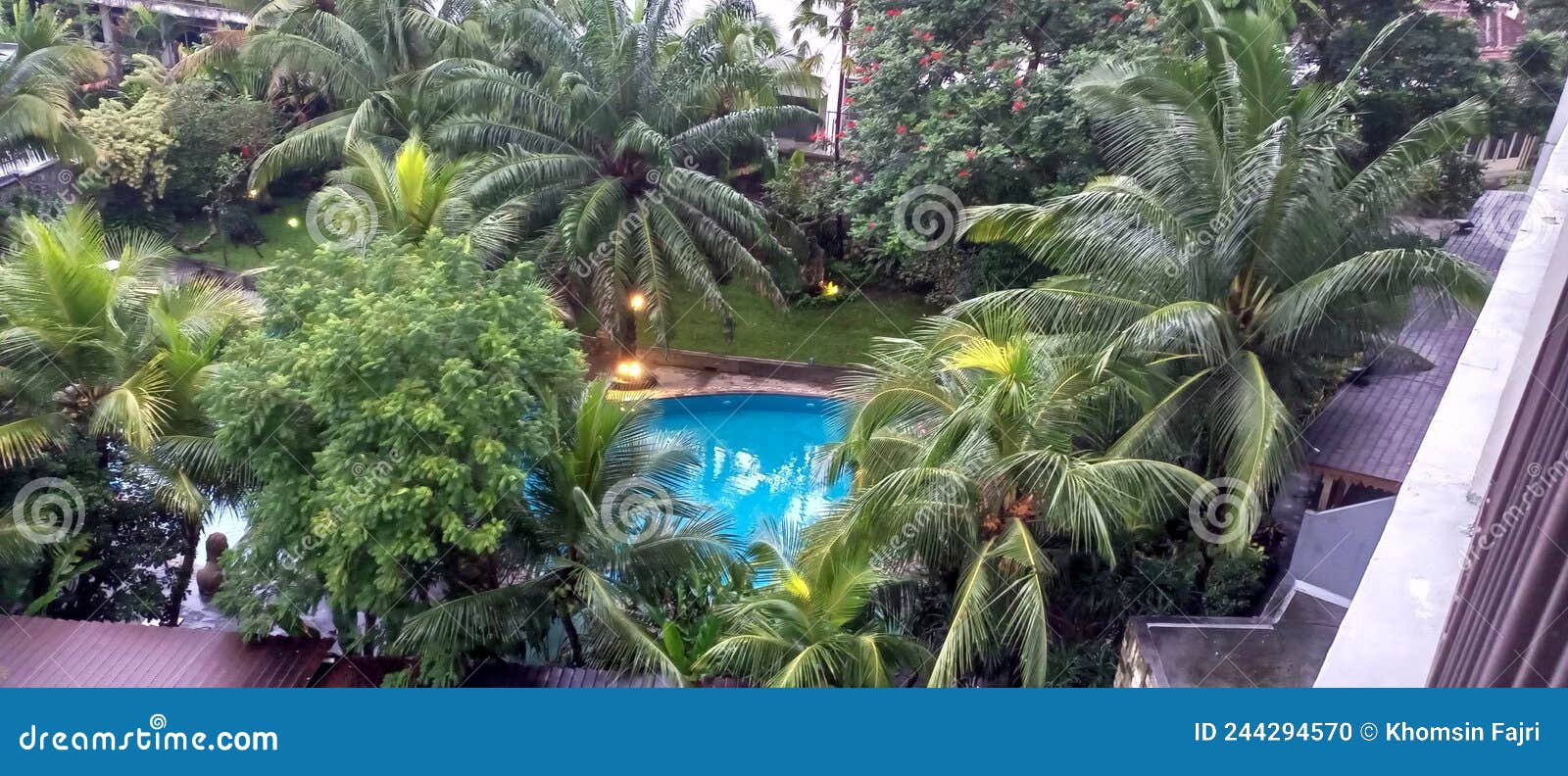 Malang - 2022 Mar 29, Swimming Pool Hidden among the Green Trees Stock ...