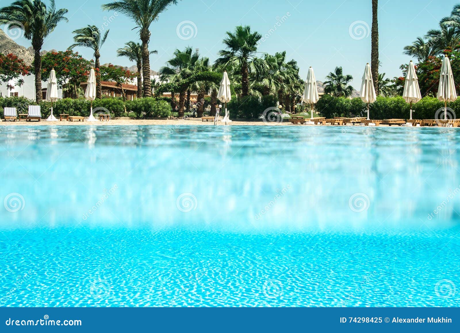 Swimming pool stock image. Image of tourism, tree, hotel - 74298425